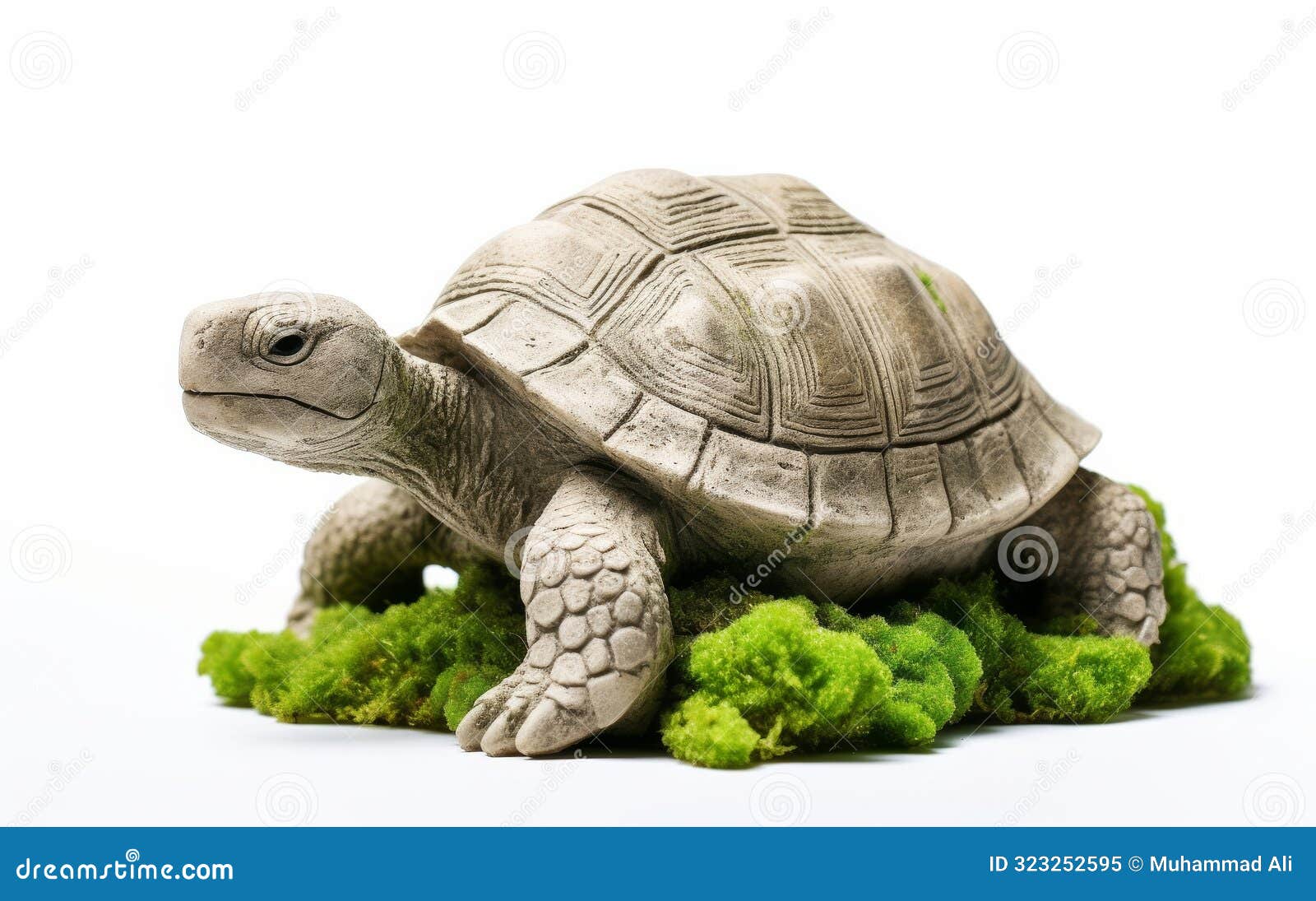 A Statue of a Turtle on White Background Stock Image - Image of white ...