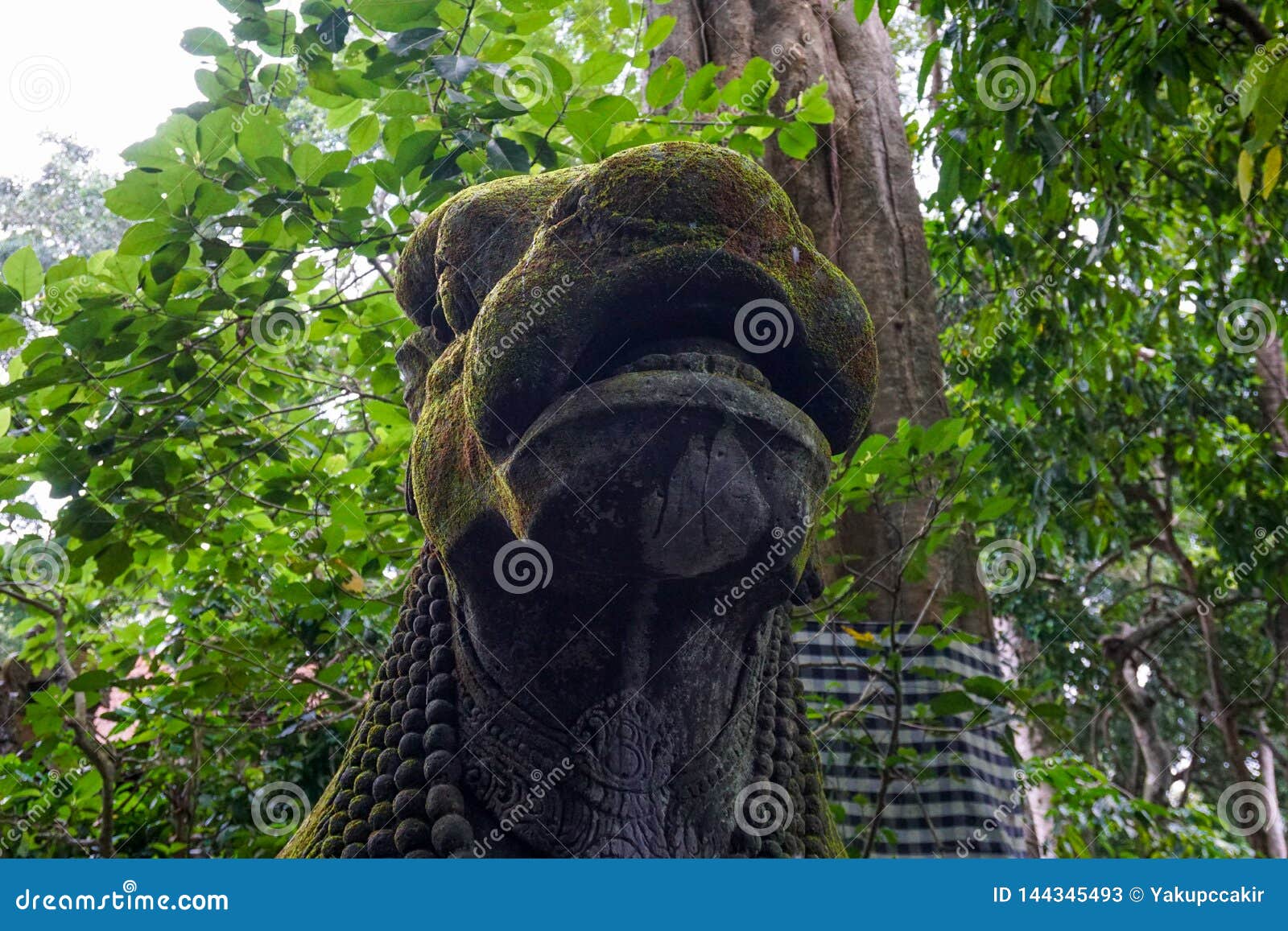 The Statue in Ubud Monkey Forest Covered by Moss, Bali Island ...