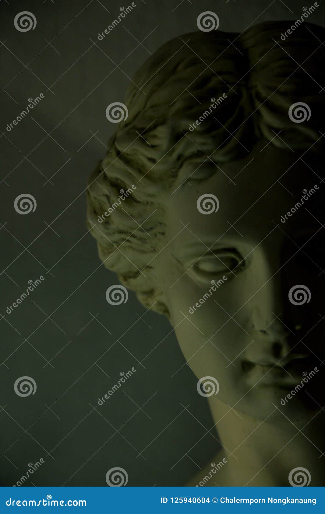 Venus in shadow. stock photo. Image of light, shadow - 125940604