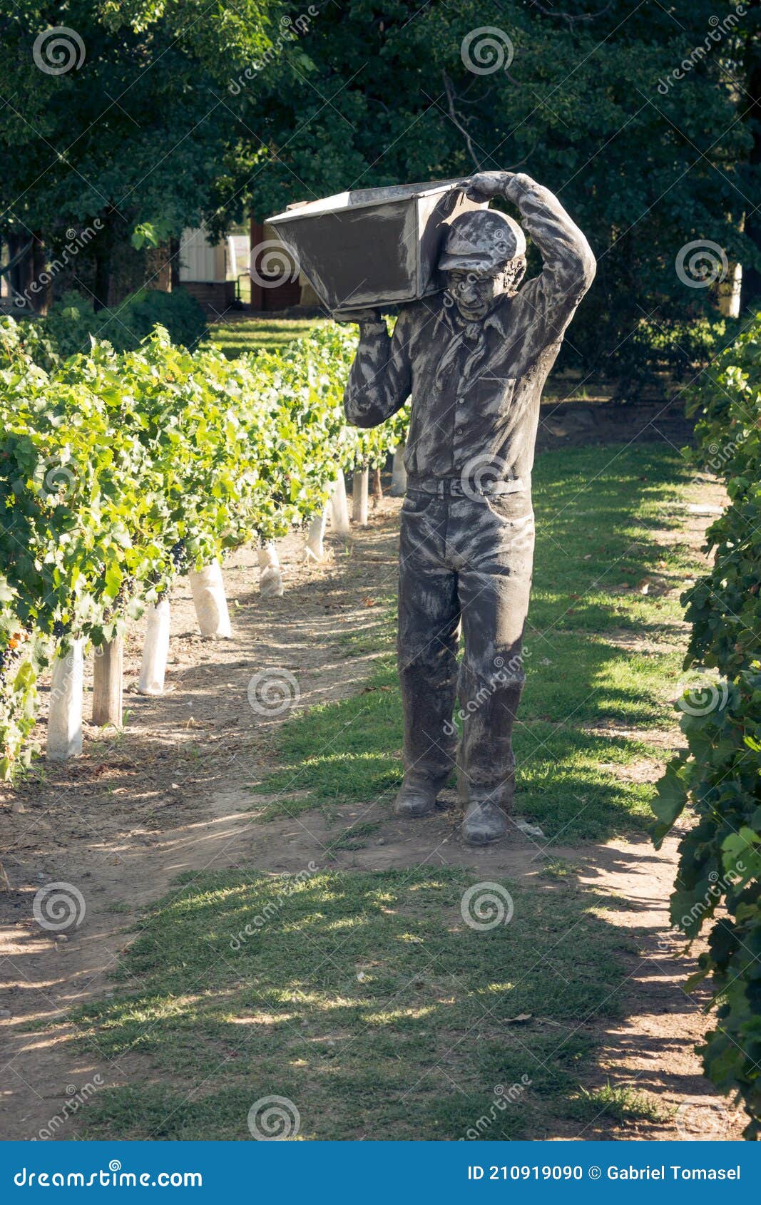 Statue of the Vineyard Workers Collecting Grapes Editorial Image ...