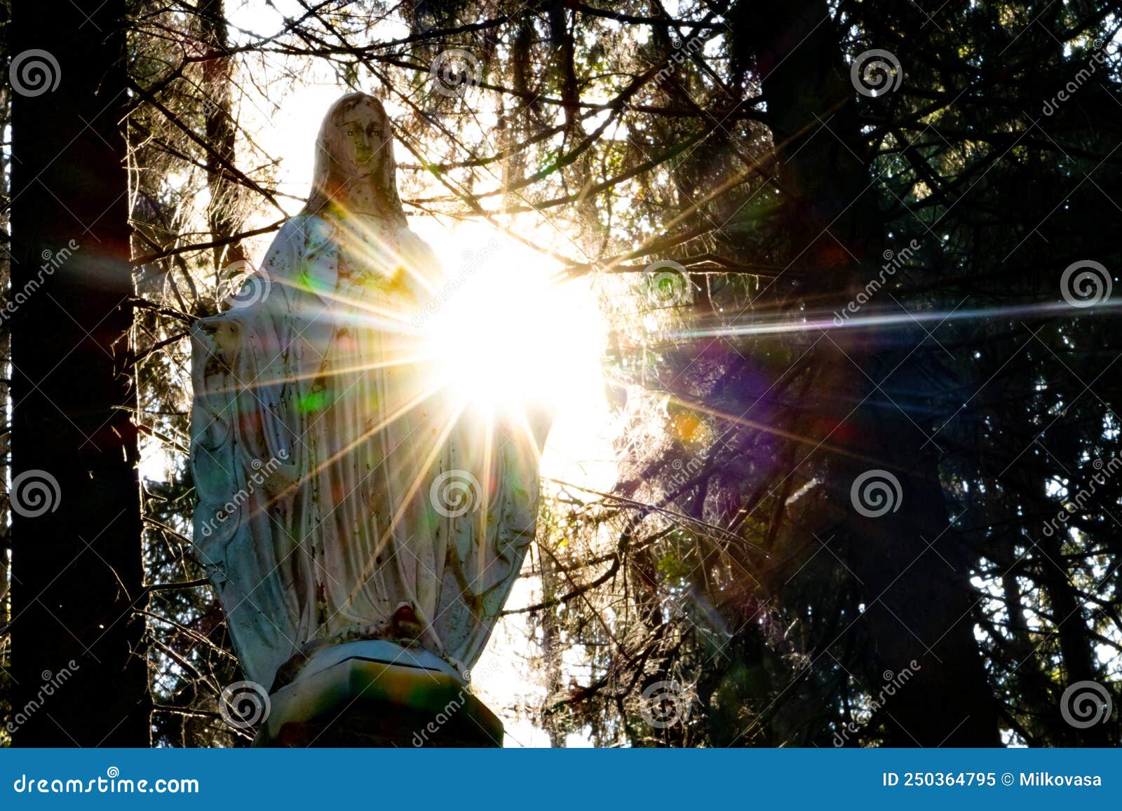 The Statue of the Virgin Mary in the Forest with a SunÂ´s Rays Stock ...