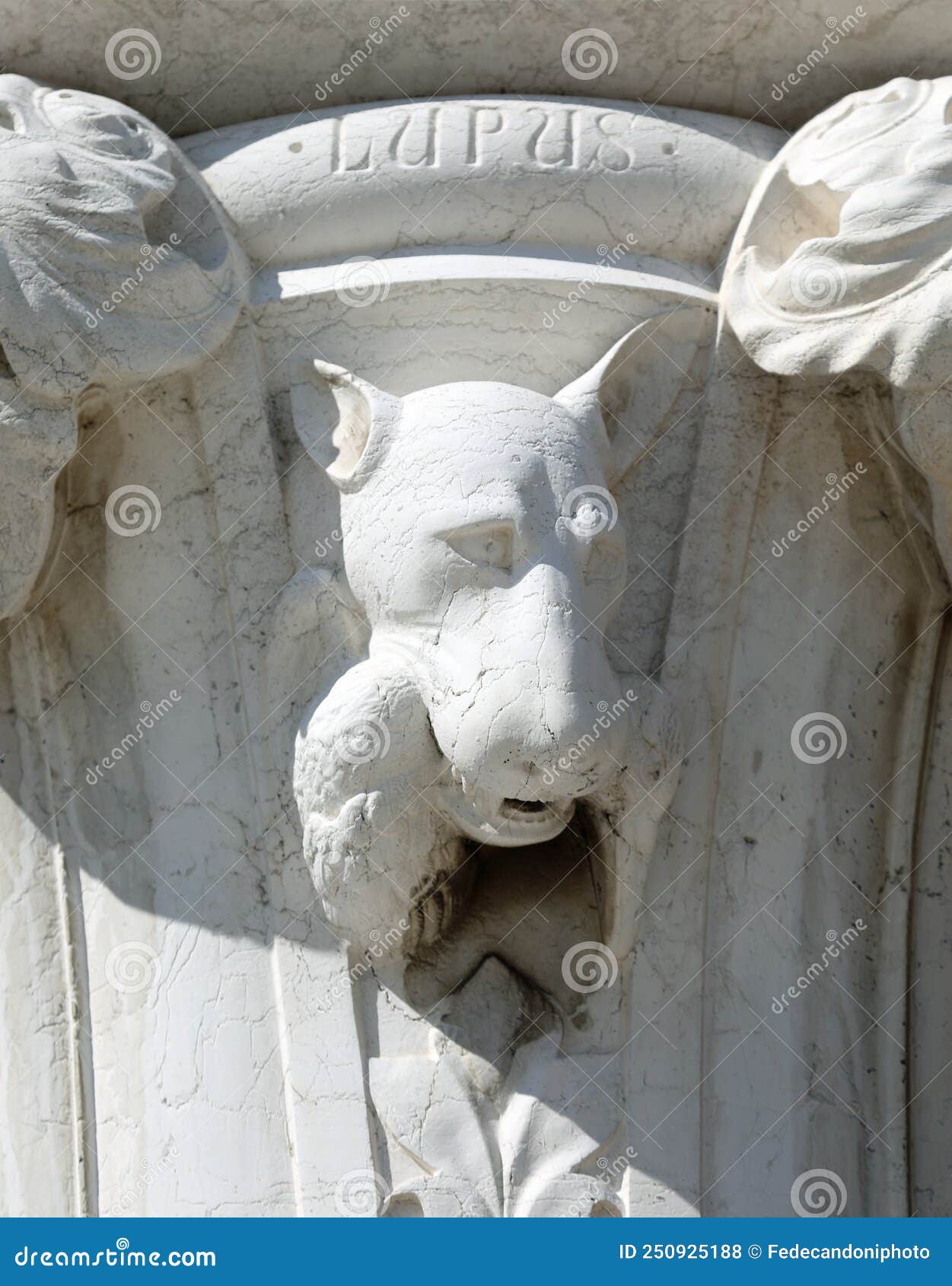 Statue of a Wolf S Muzzle with the Inscription LUPUS on the Col Stock ...