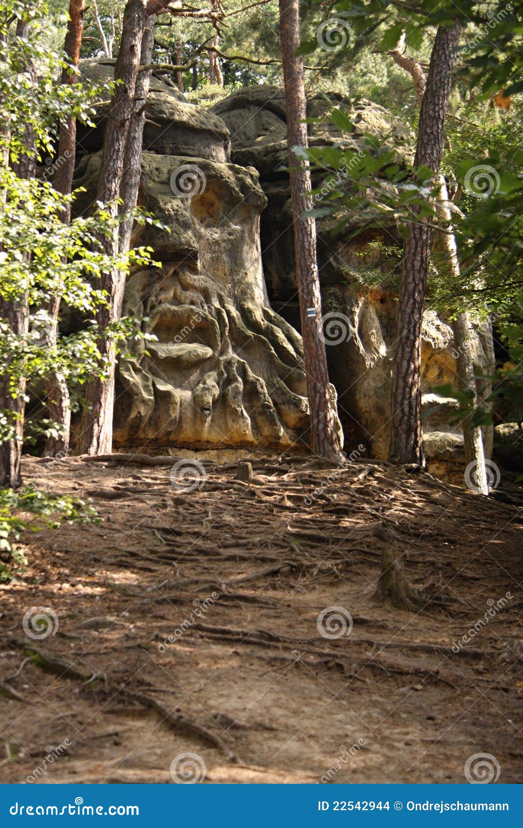 Statues in the forest stock photo. Image of dark, statue - 22542944
