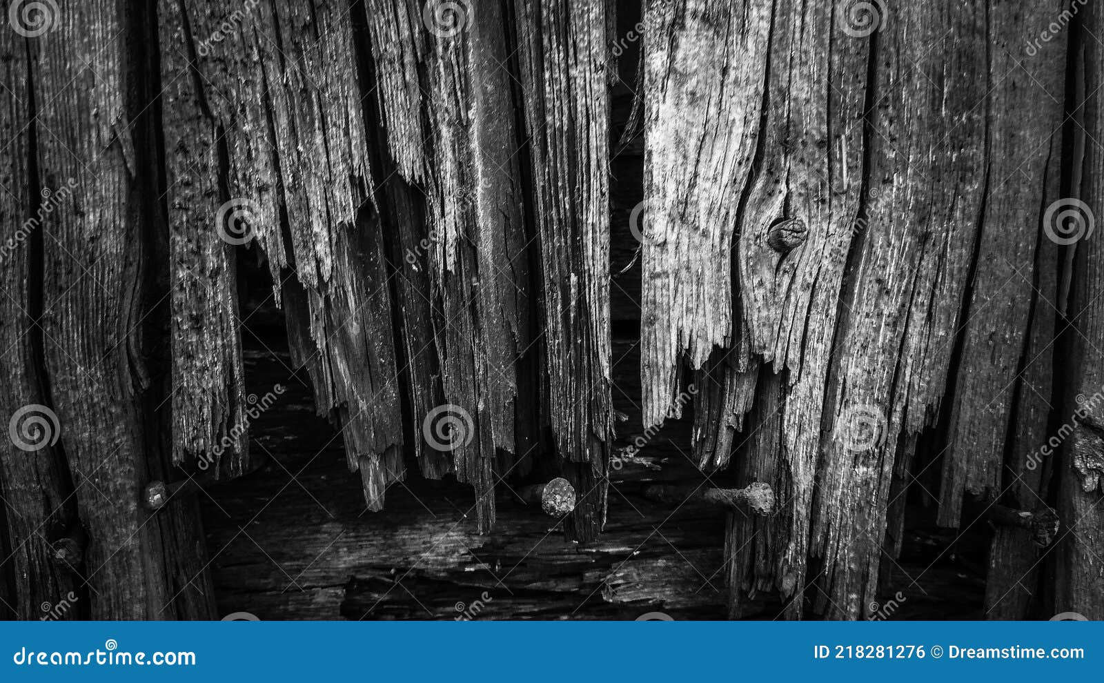 Status bar chart stock photo. Image of darkness, formation - 218281276