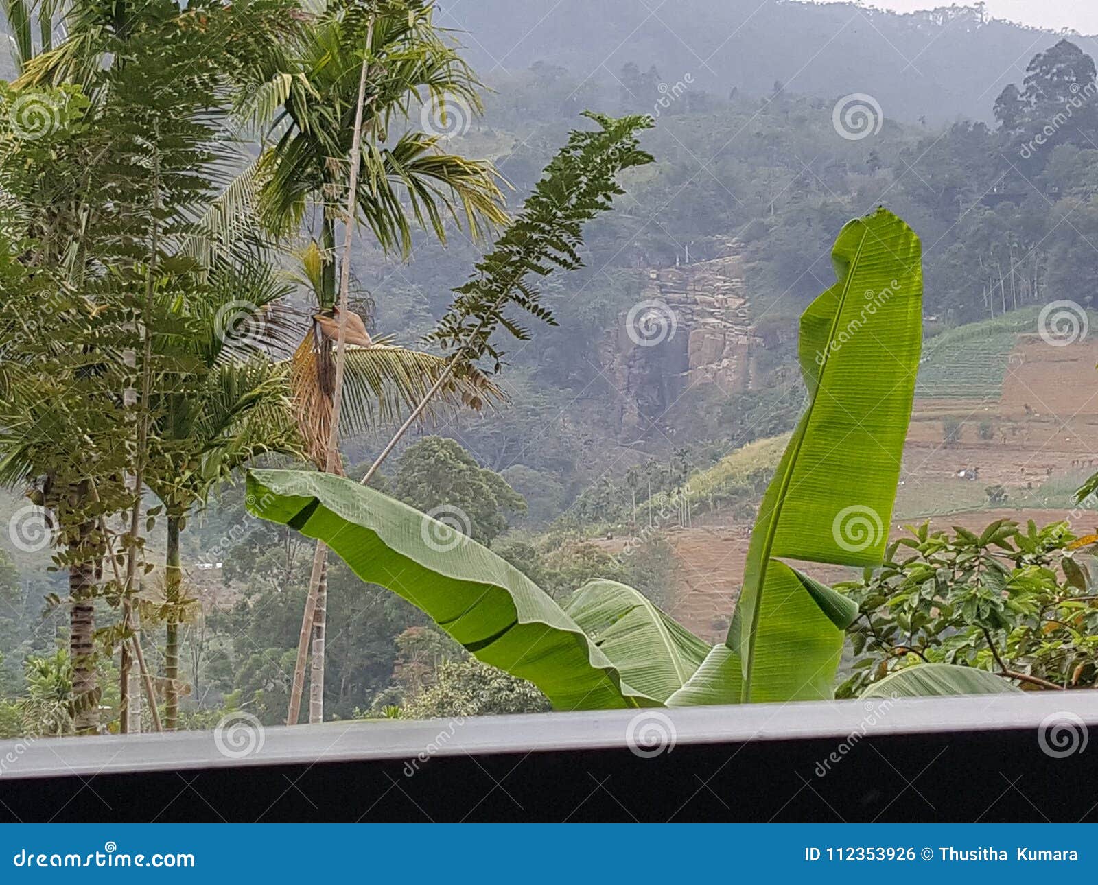 Dried Waterfall Thought the Jungle Stock Photo - Image of overload ...