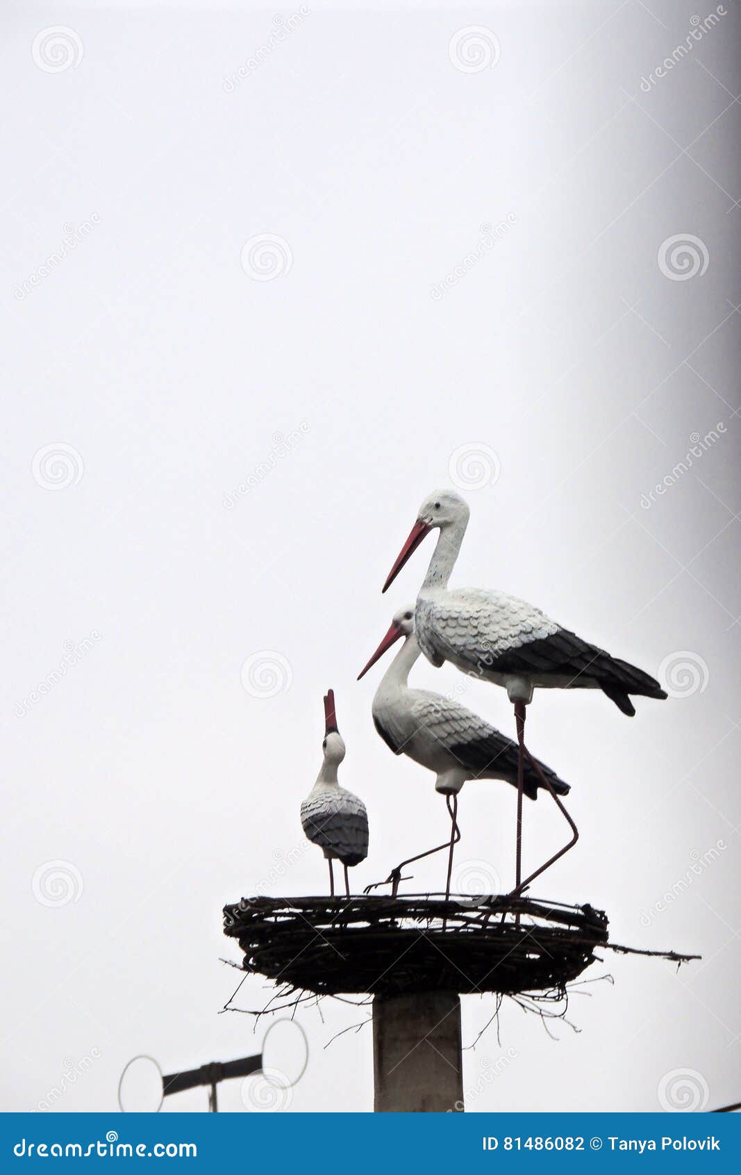 Statute birds stock photo. Image of closeup, figurine - 81486082