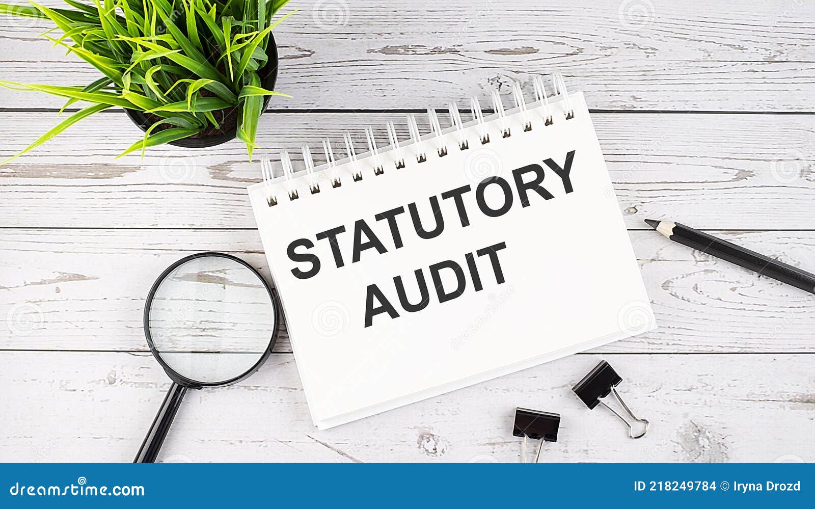 STATUTORY AUDIT Text Concept Write on Notebook with Office Tools on the ...