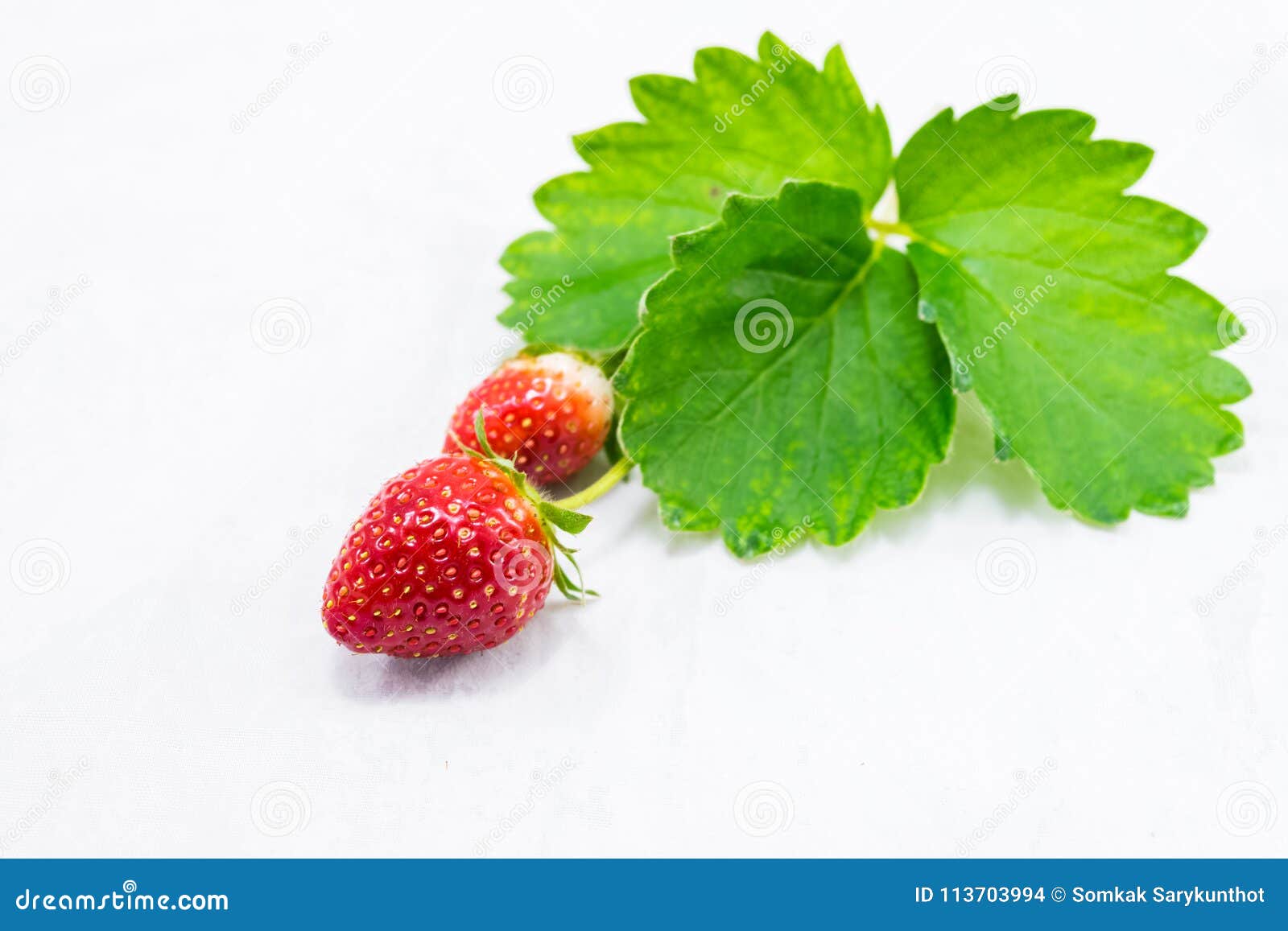 Stawberry with Leaves on White Stock Photo - Image of organic, fresh ...