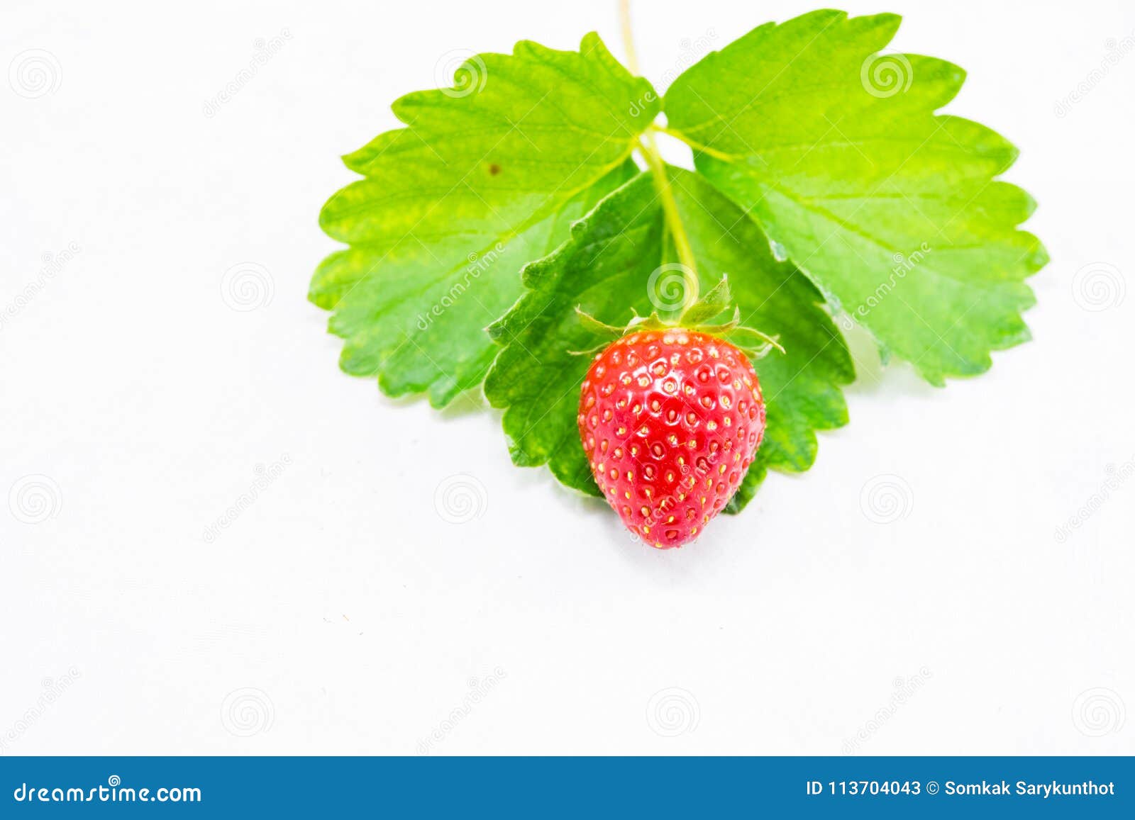 Stawberry with Leaves on White Stock Image - Image of isolated, sweet ...
