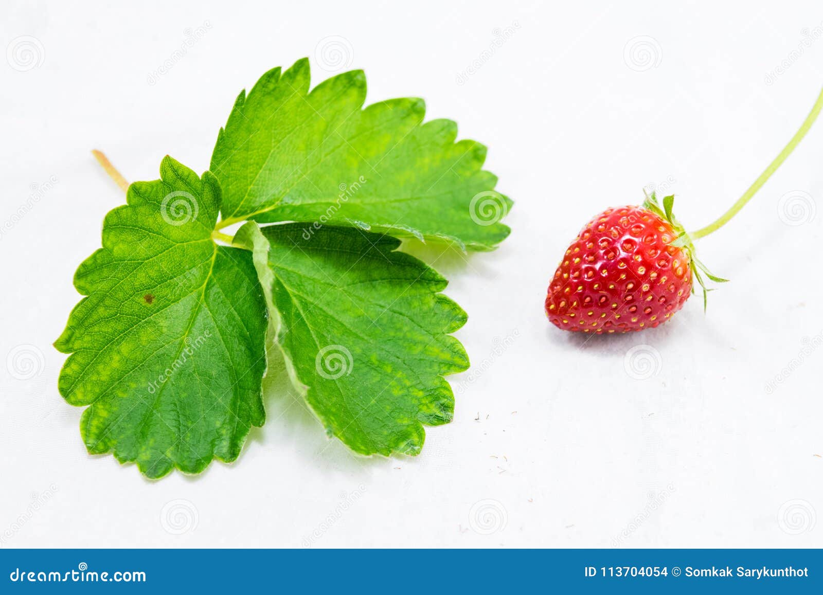 Stawberry with Leaves on White Stock Photo - Image of sweet, strawberry ...