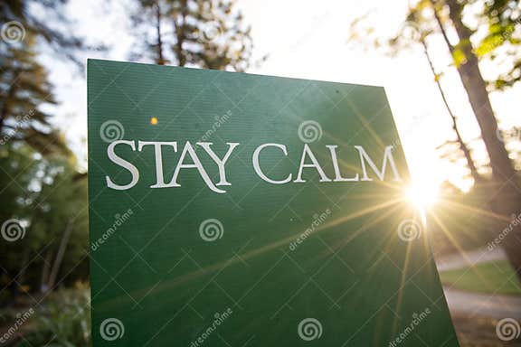 "Stay Calm" Text on Green Abstract Background Stock Illustration ...