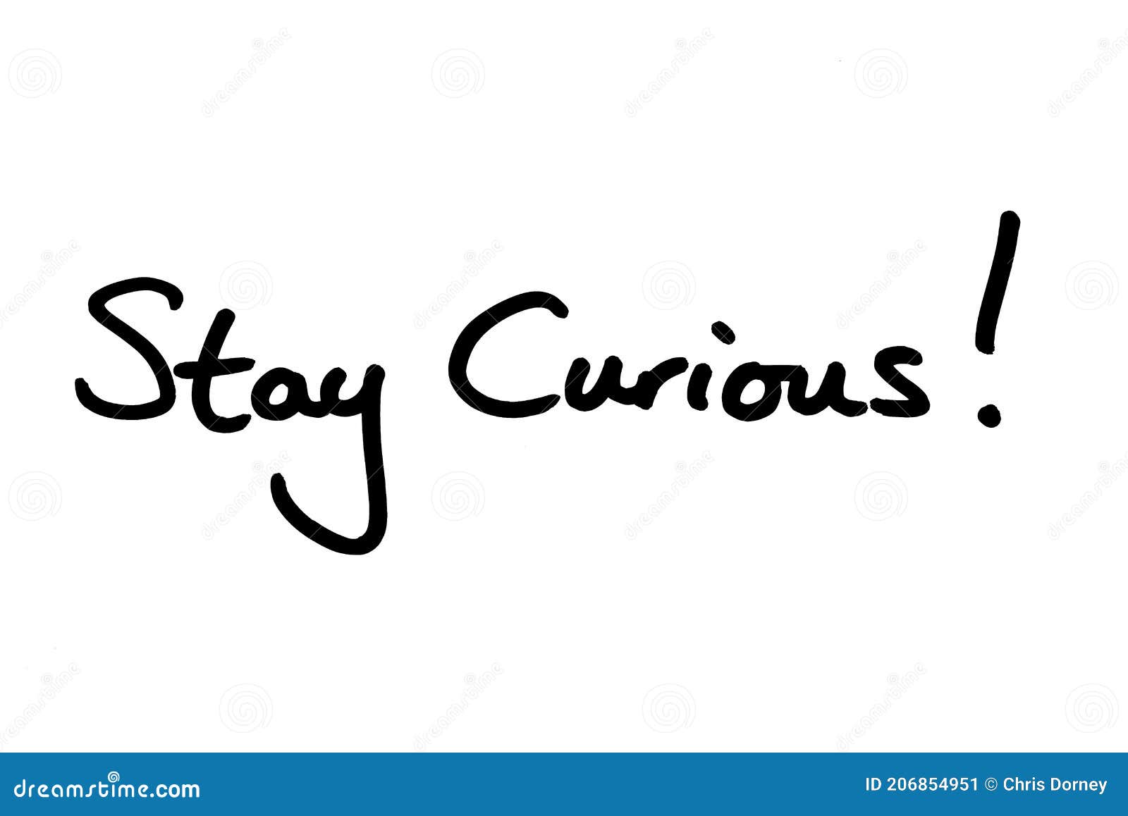 Stay Curious. Hand Drawn Vector Lettering Phrase. Isolated On Black ...