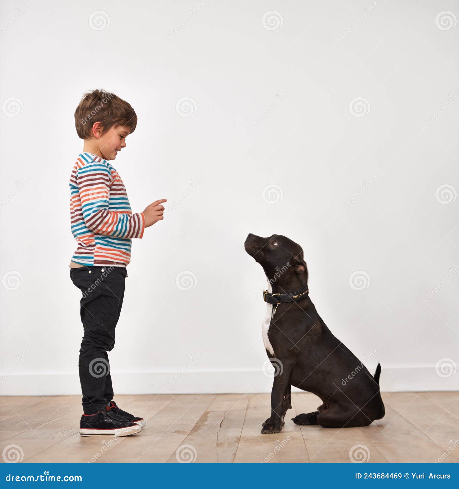 Stay. a Cute Little Boy Training His Dog. Stock Image - Image of ...