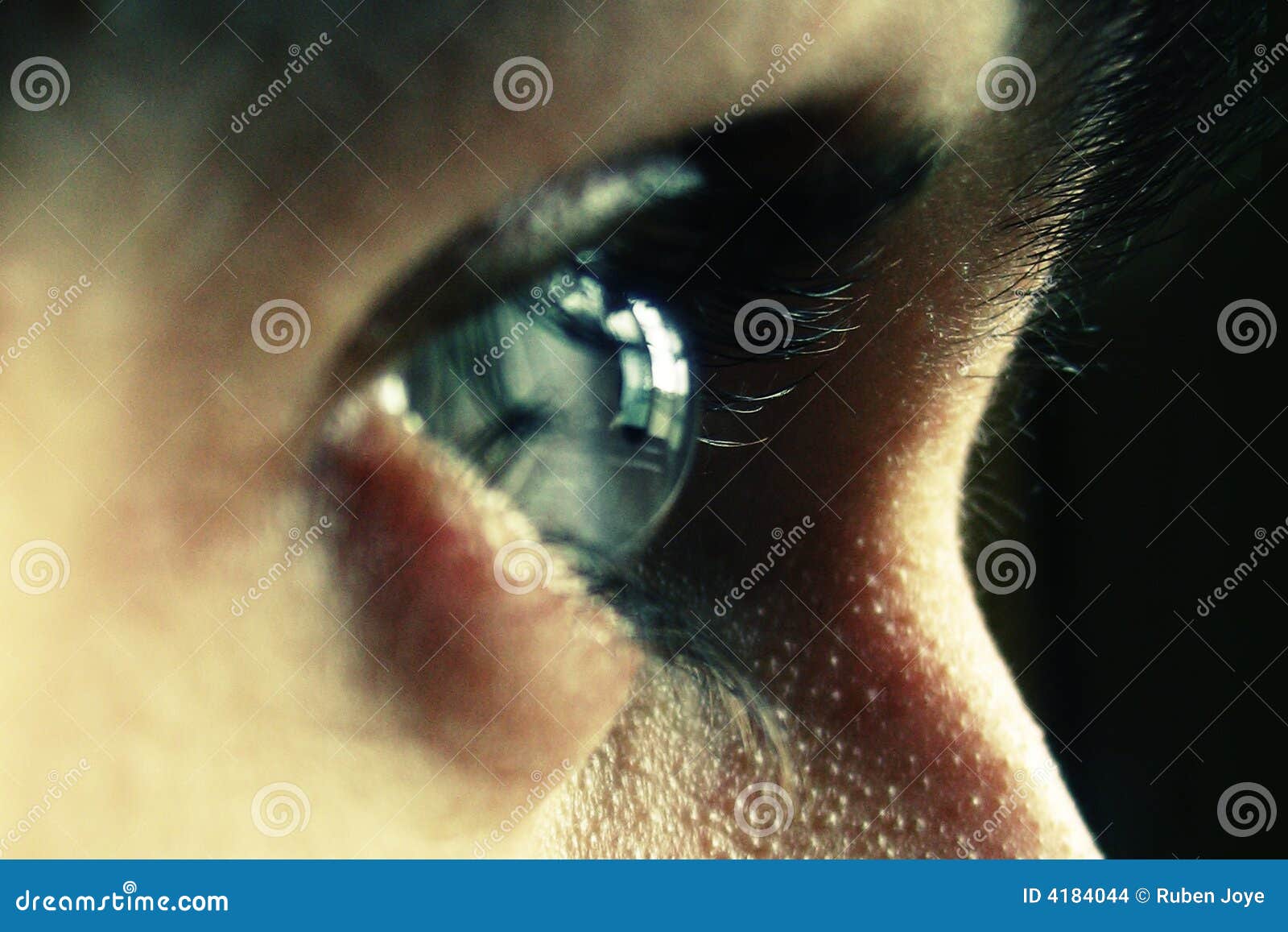 Stay focussed stock photo. Image of face, focussed, goals - 4184044