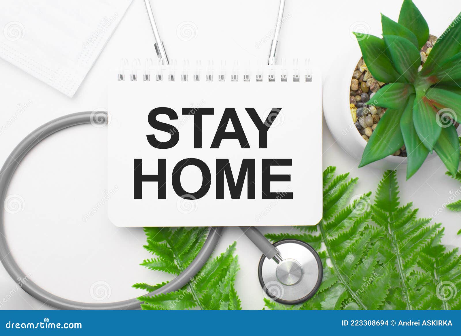 Stay Home Word on Notebook,stethoscope and Green Plant Stock Photo ...
