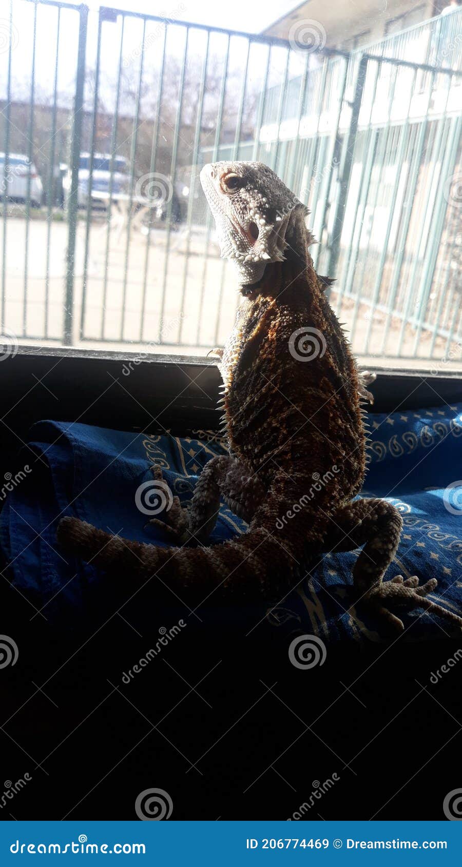 Stay off my lawn stock image. Image of sculpture, blue - 206774469