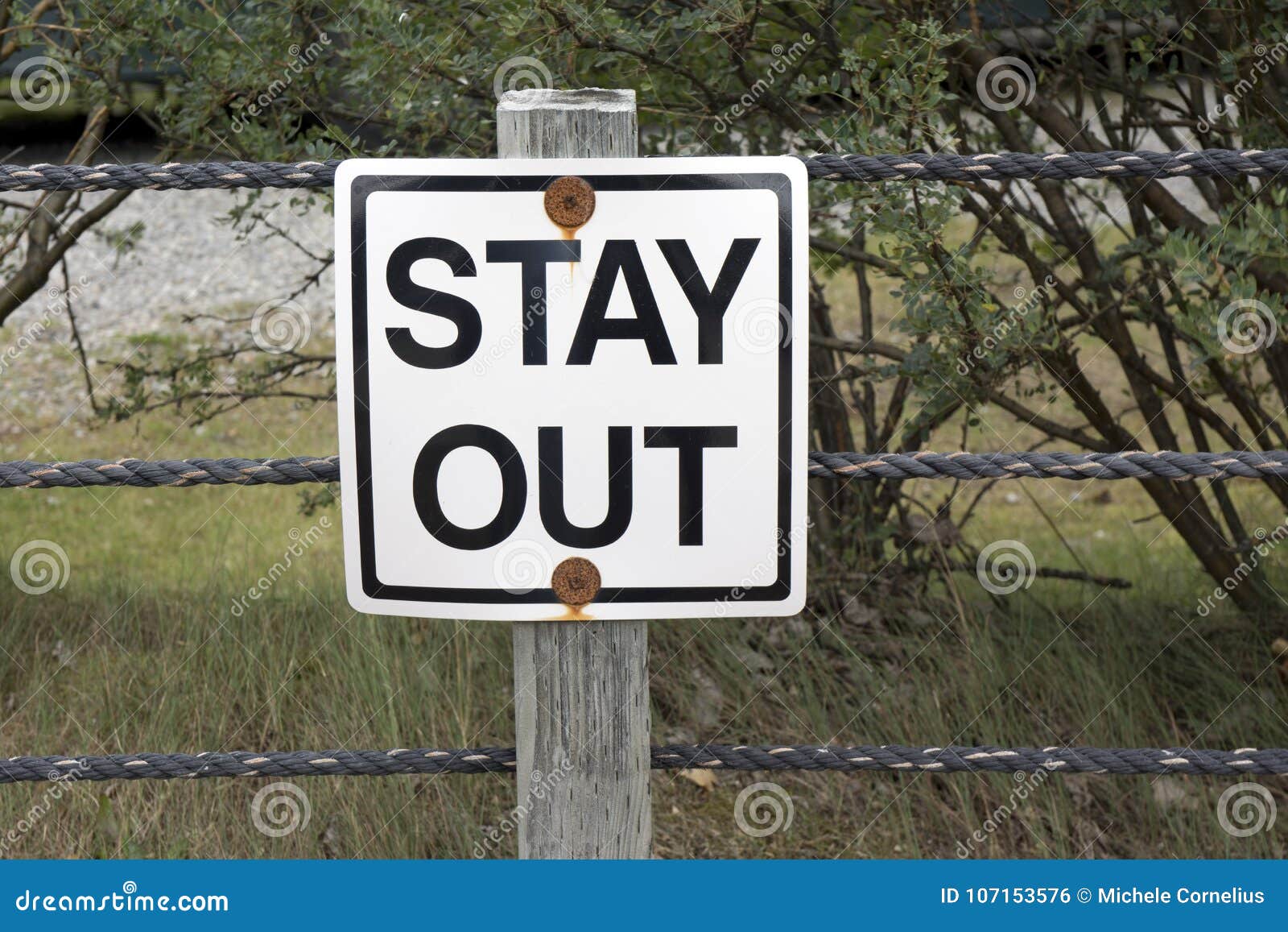 Stay Out sign stock photo. Image of posted, grass, notice - 107153576