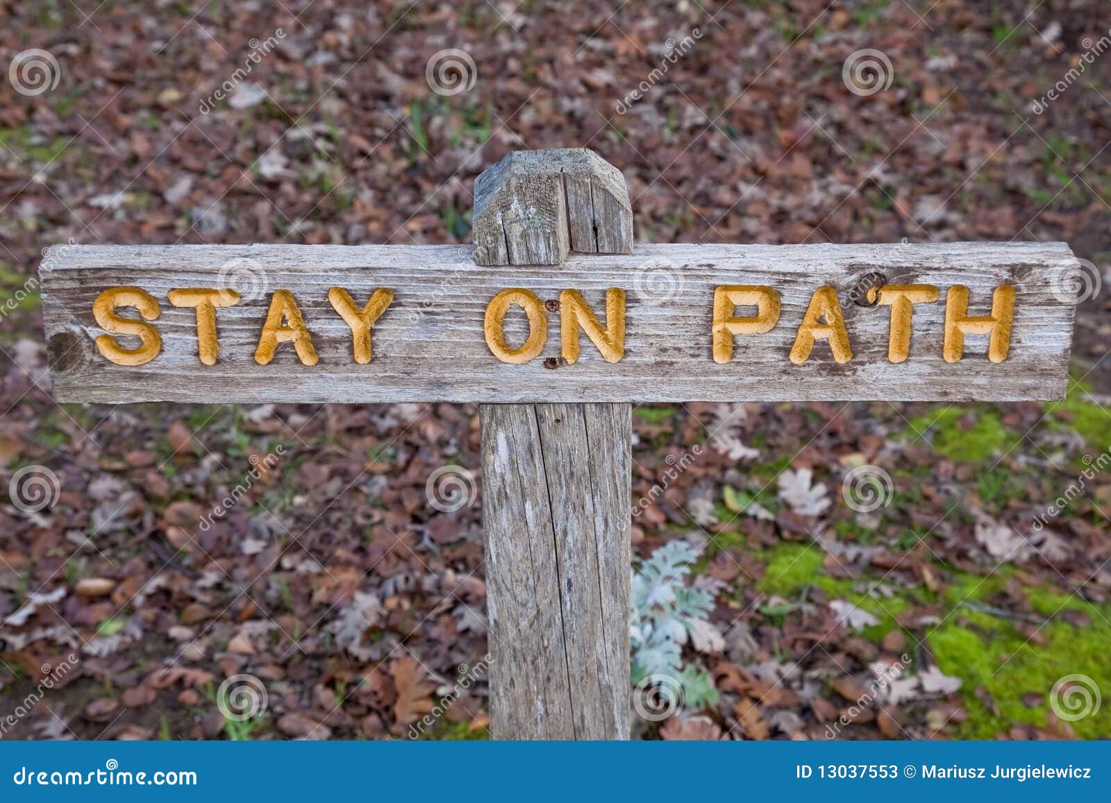 Stay on path stock image. Image of stay, designated, limit - 13037553