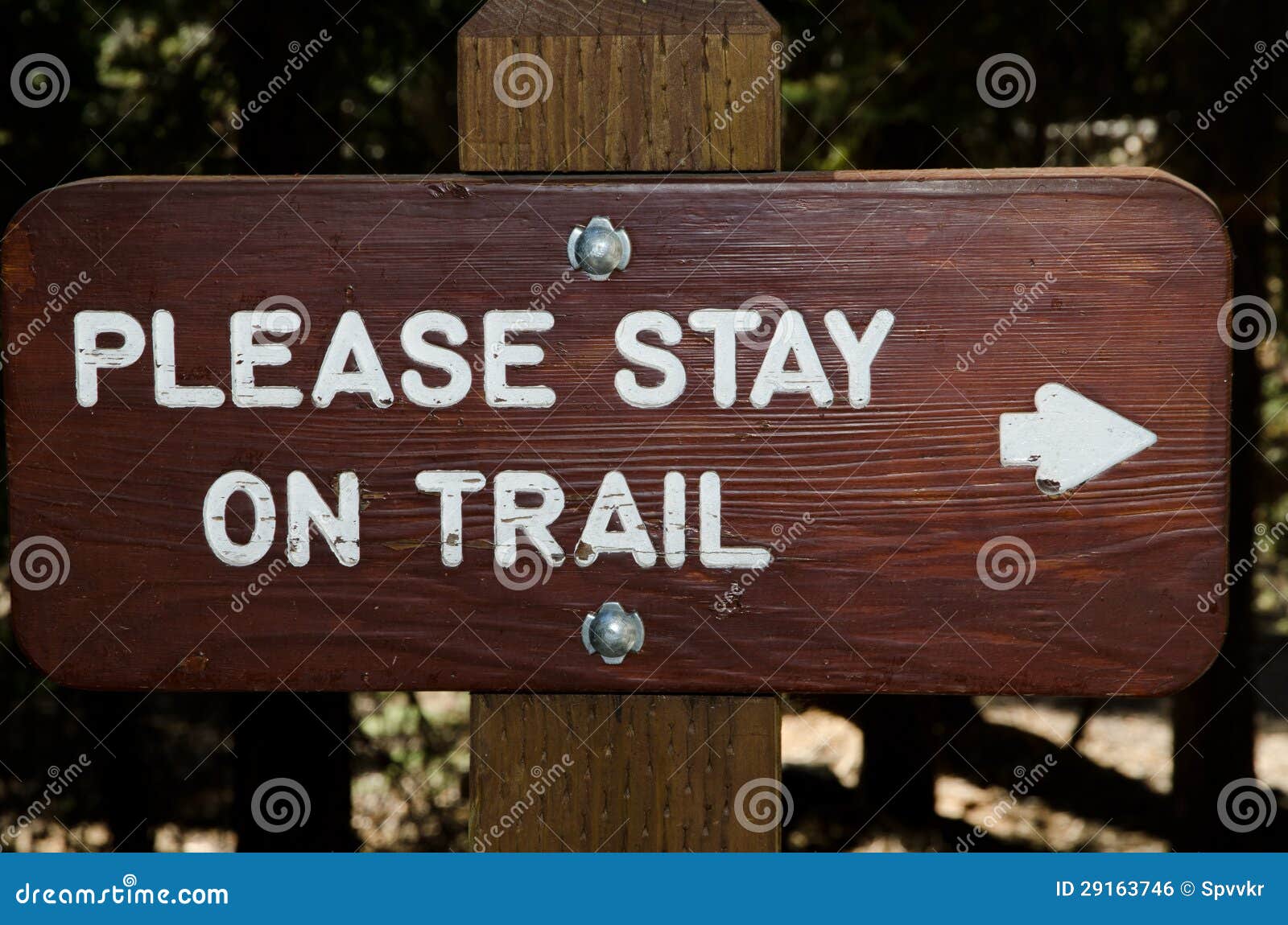 Stay on the trail sign stock photo. Image of autumn, culture - 29163746