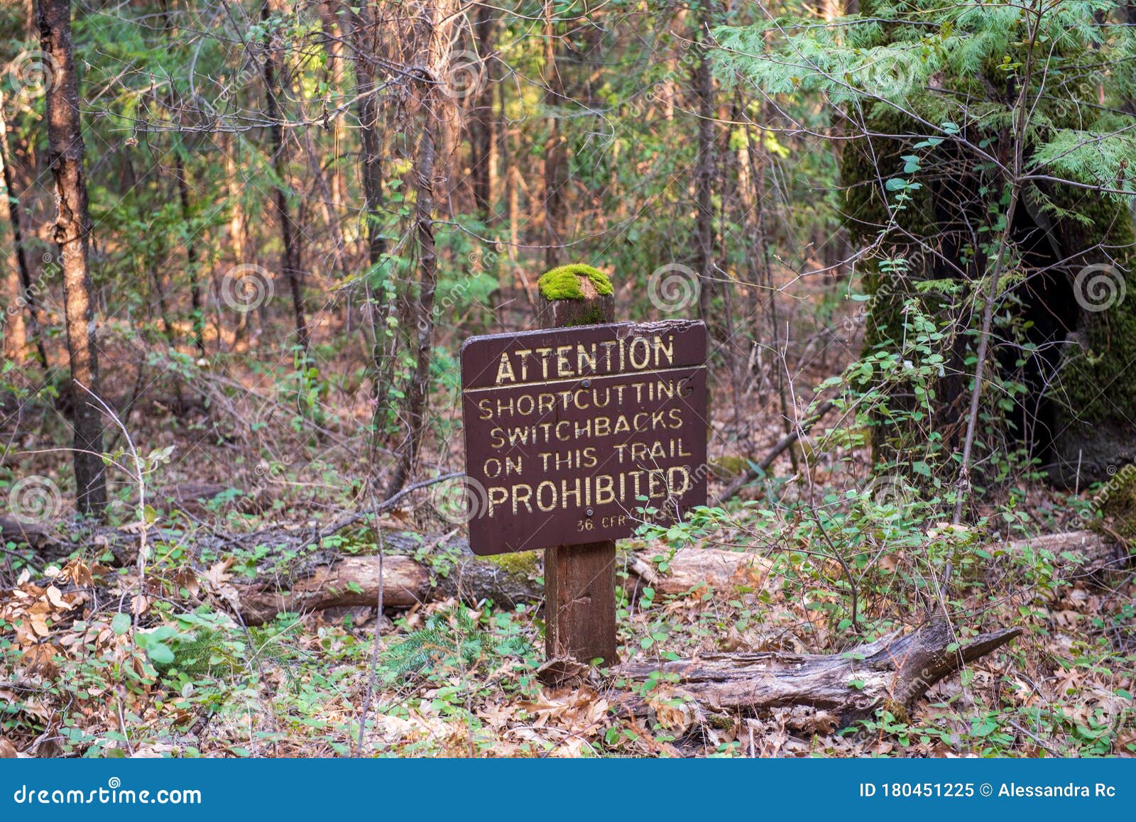 Stay on trails sign stock image. Image of falls, vegetation - 180451225