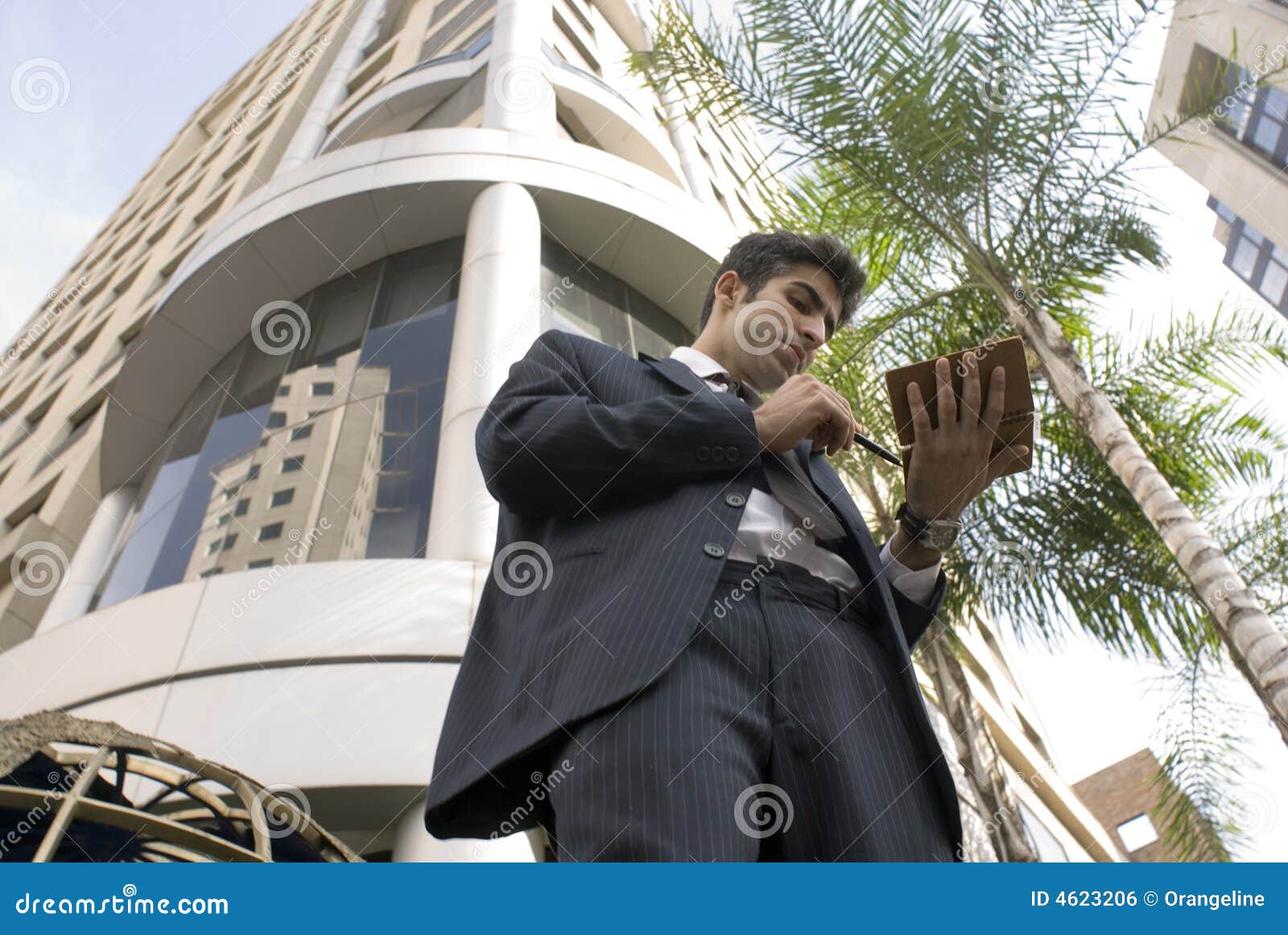 Staying On Top Of Things Picture. Image: 4623206