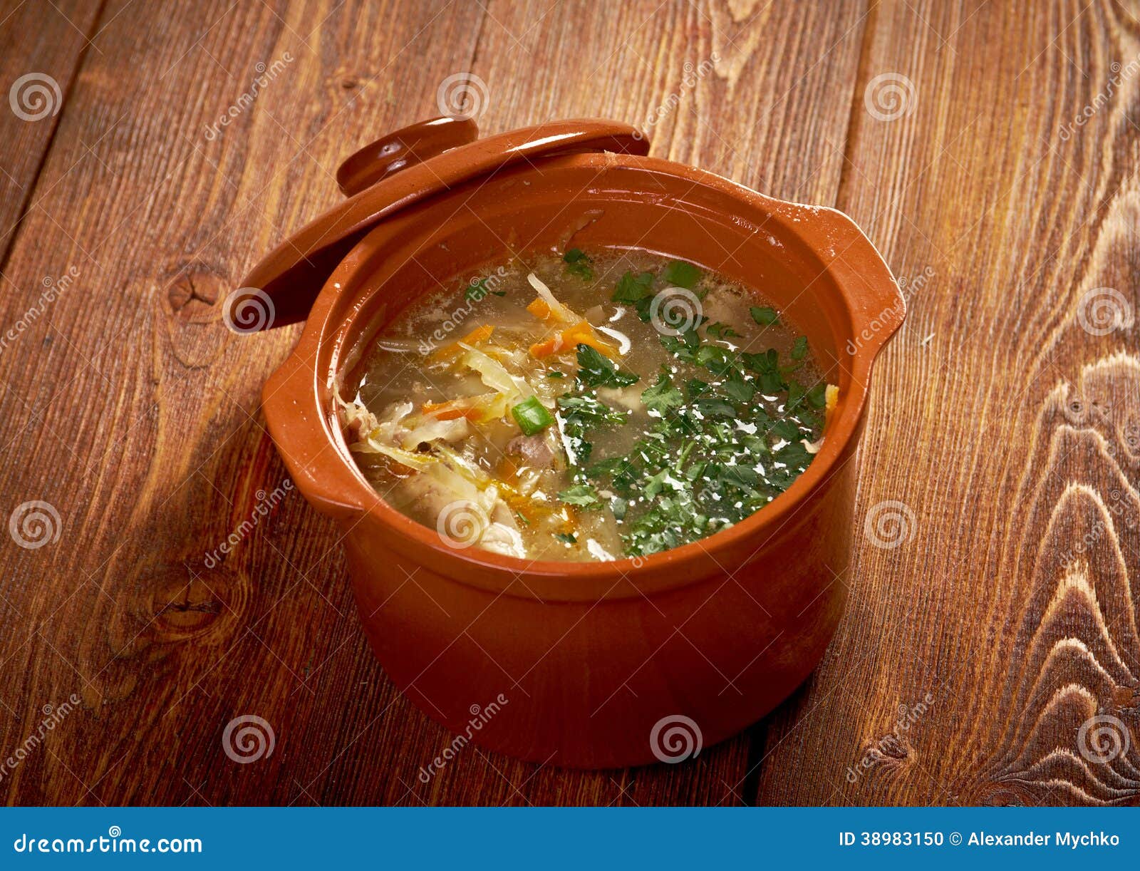 Stchi Russo Della Minestra Dei Crauti Fotografia Stock - Immagine di ...