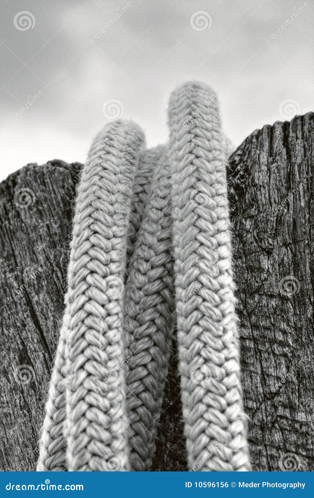 Steady pole stock photo. Image of grandbend, knot, mark - 10596156