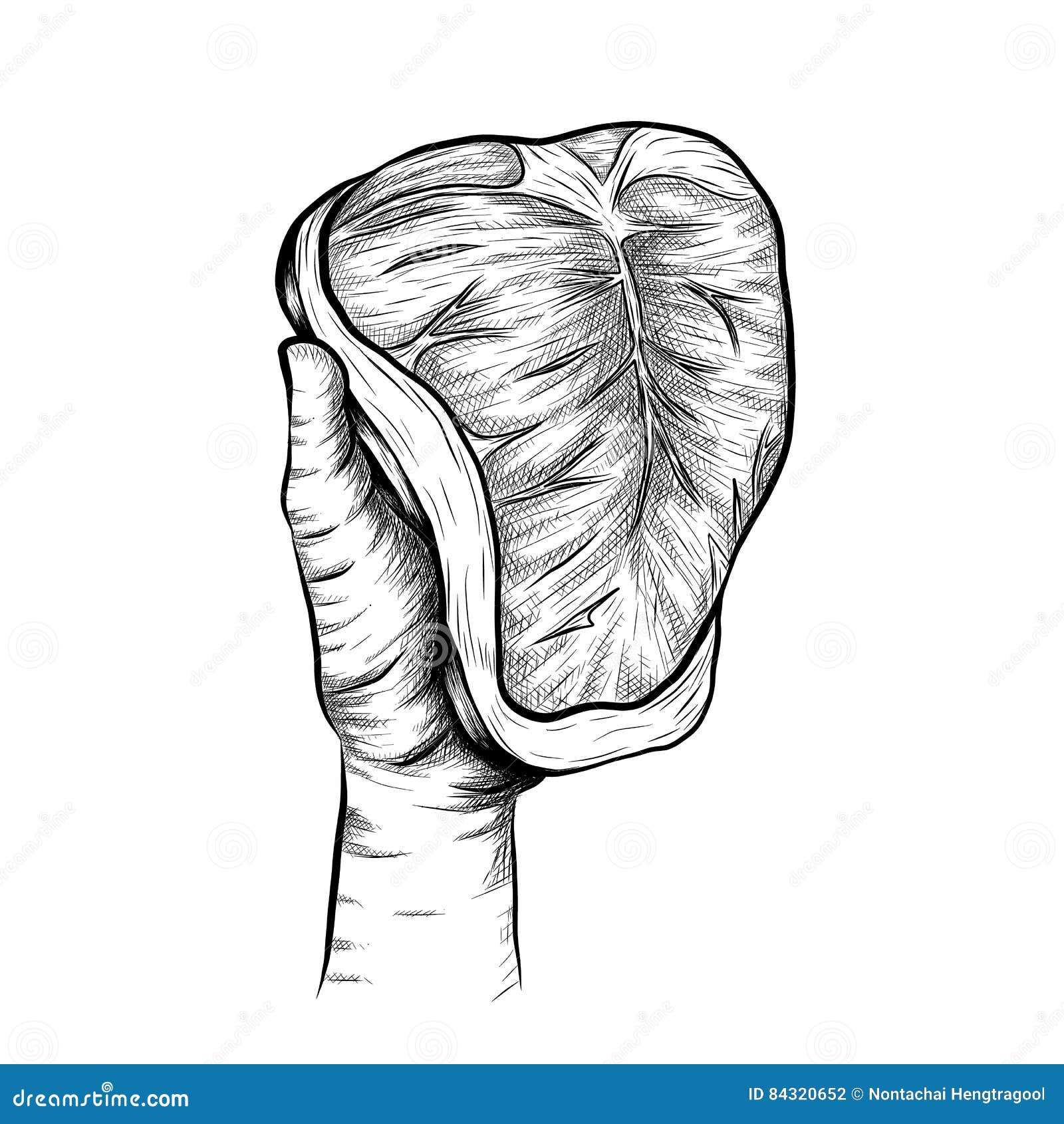 Steak Sketch By Hand Drawing. Vector Illustration | CartoonDealer.com ...