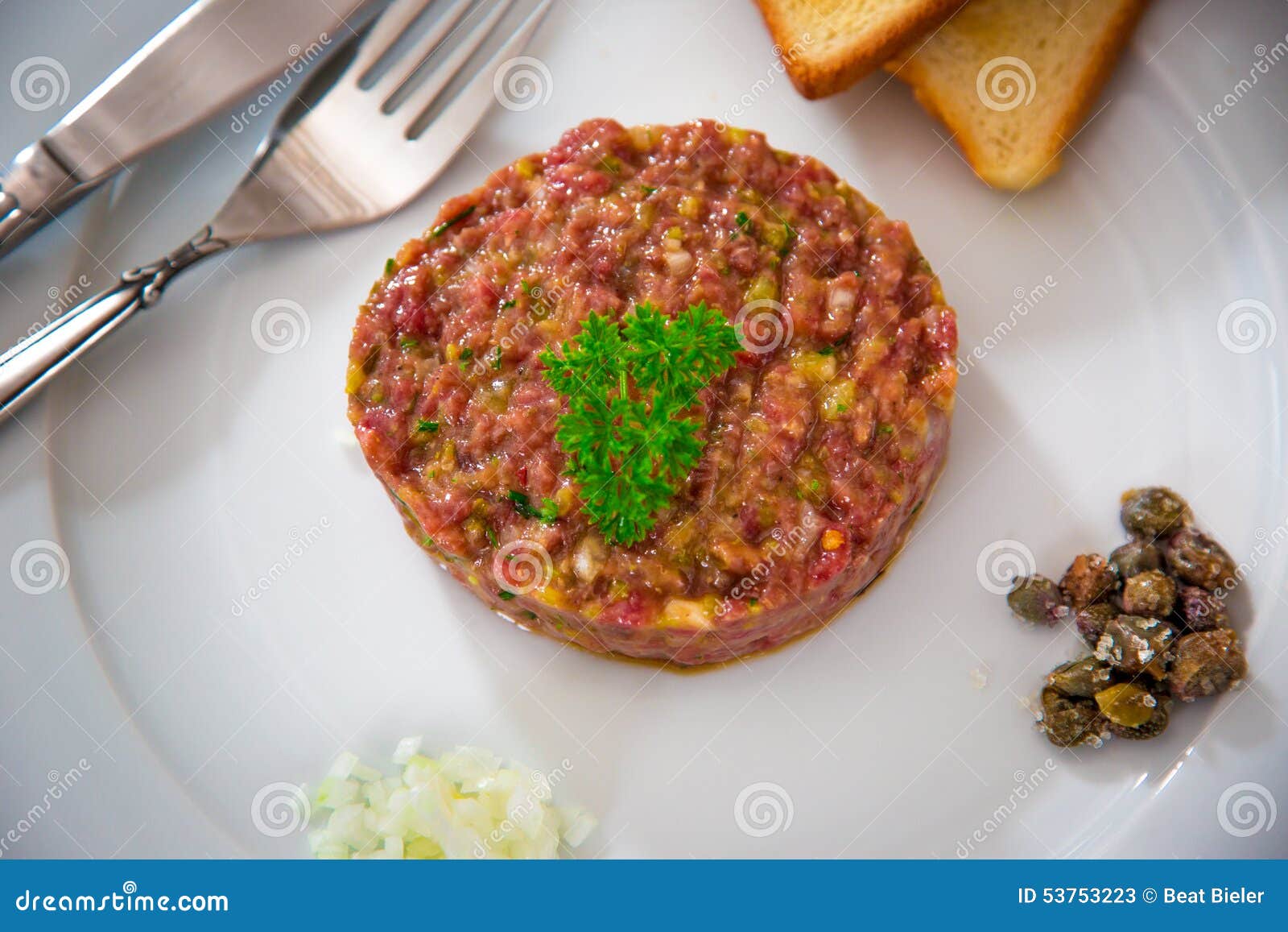 Steak Tartar stock image. Image of meal, tatar, meat - 53753223