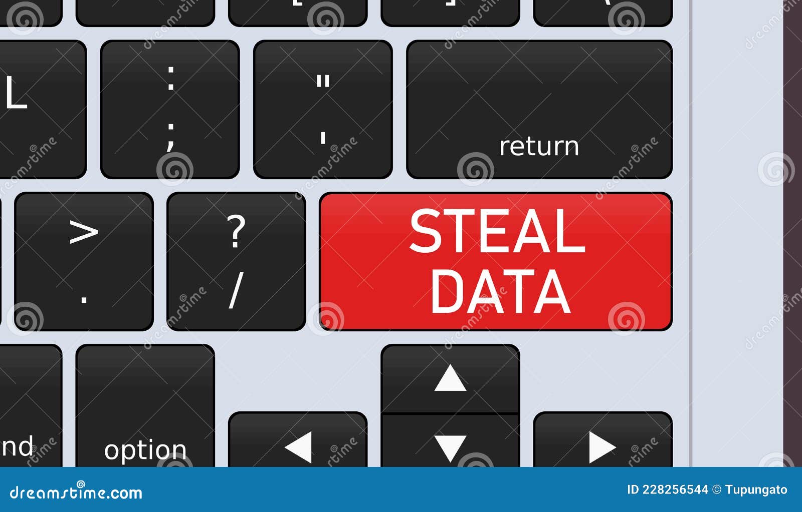 Steal Data Keyboard Special Key Stock Vector - Illustration of sign ...