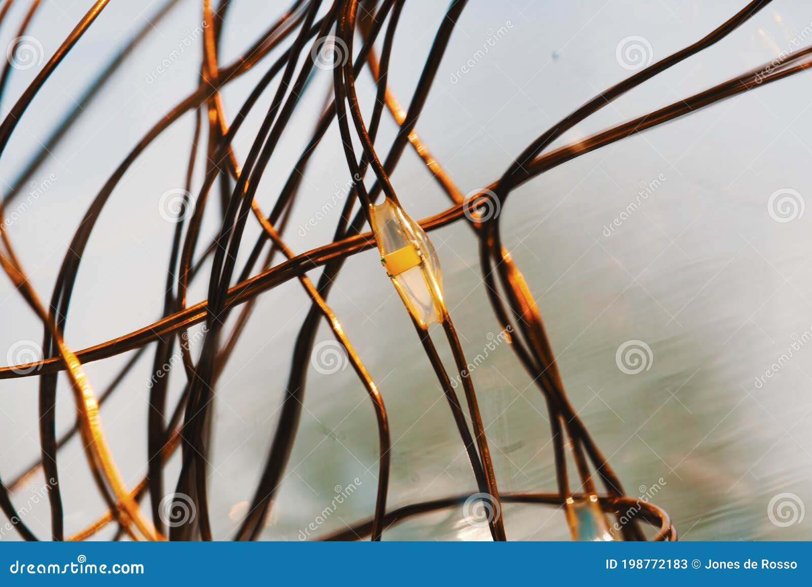 Steal Wire Led Rust Outdoor Stock Image - Image of wire, twig: 198772183