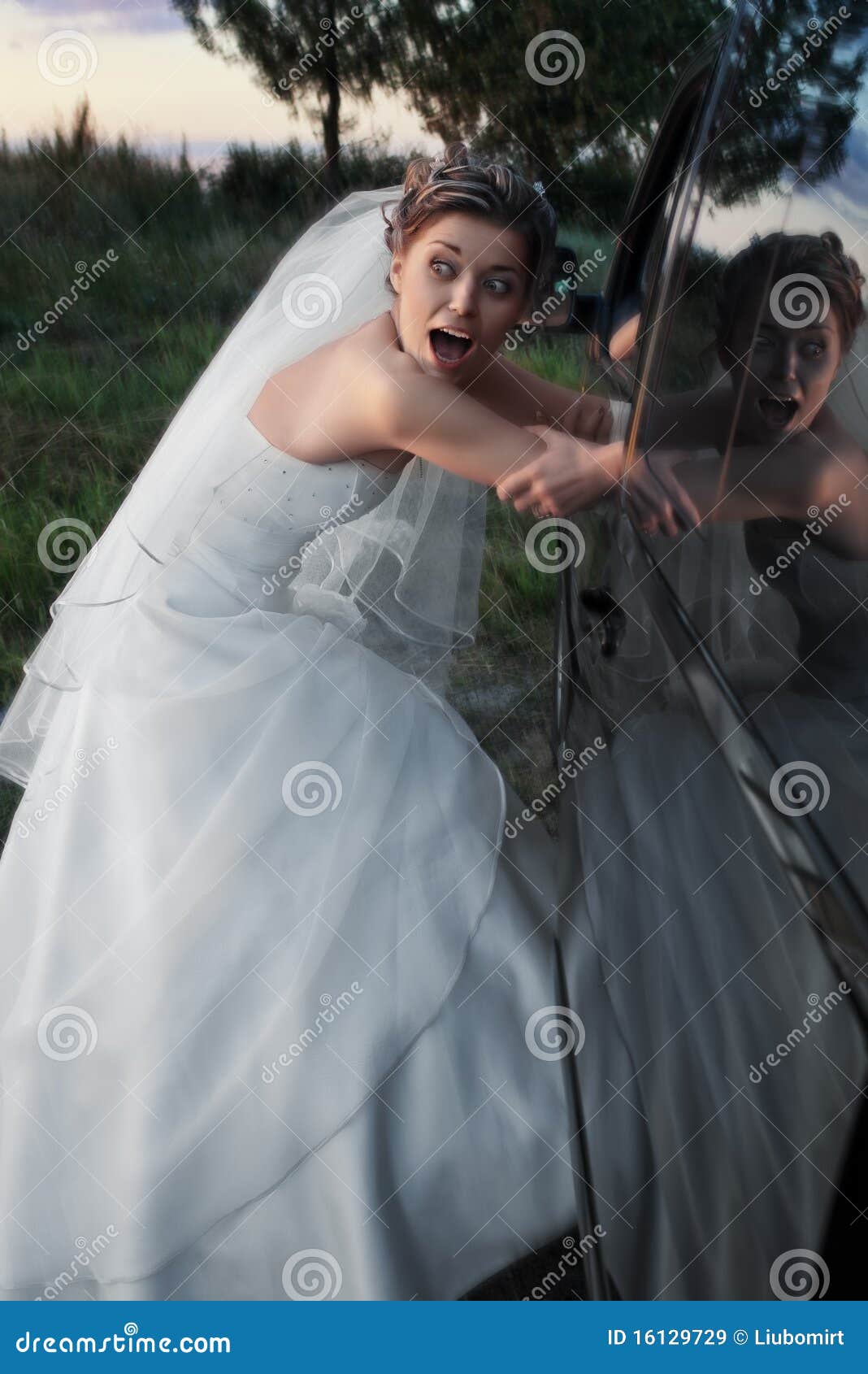 Stealing a bride stock image. Image of stealing, abusive - 16129729