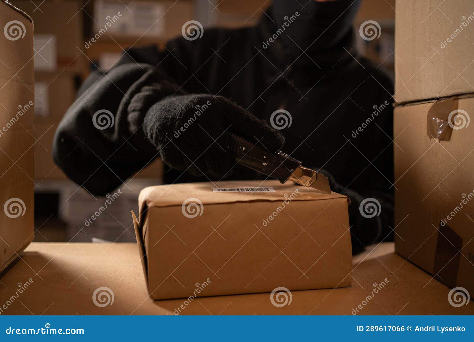 Stealing Parcels and Damaging the Packaging of Goods in the Warehouse ...