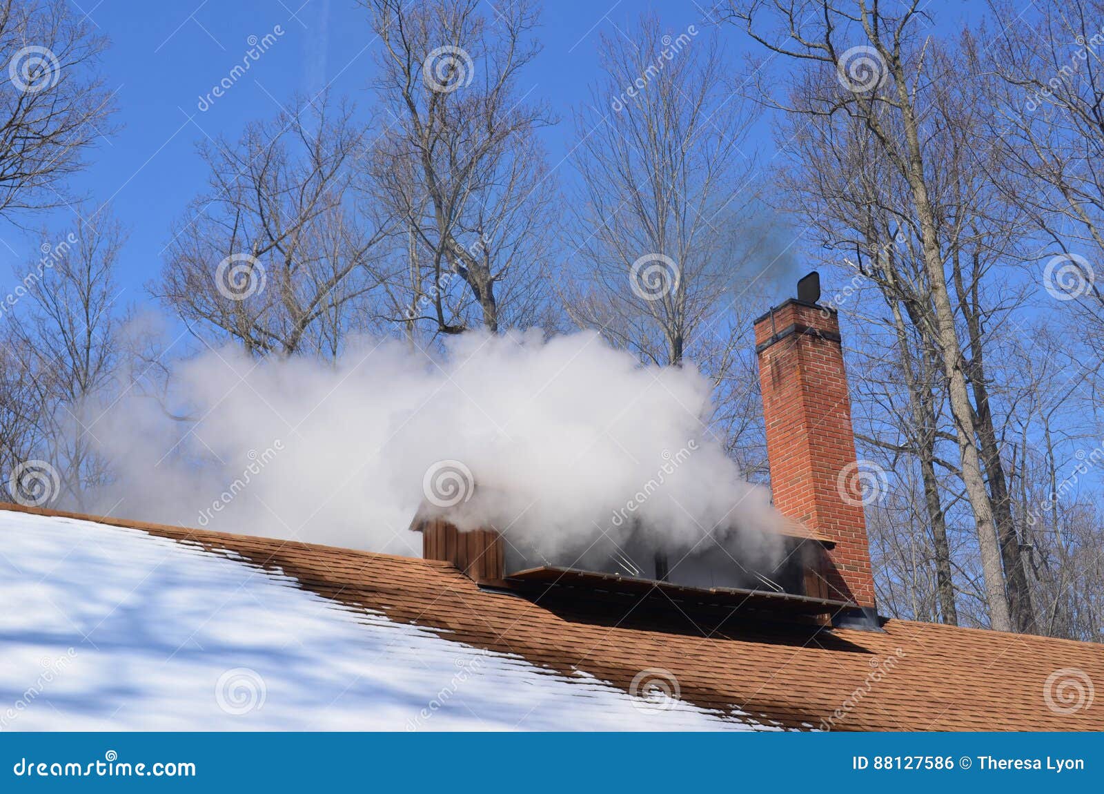 Steam Billowing from a Maple Syrup Sugar Shack Stock Photo - Image of ...