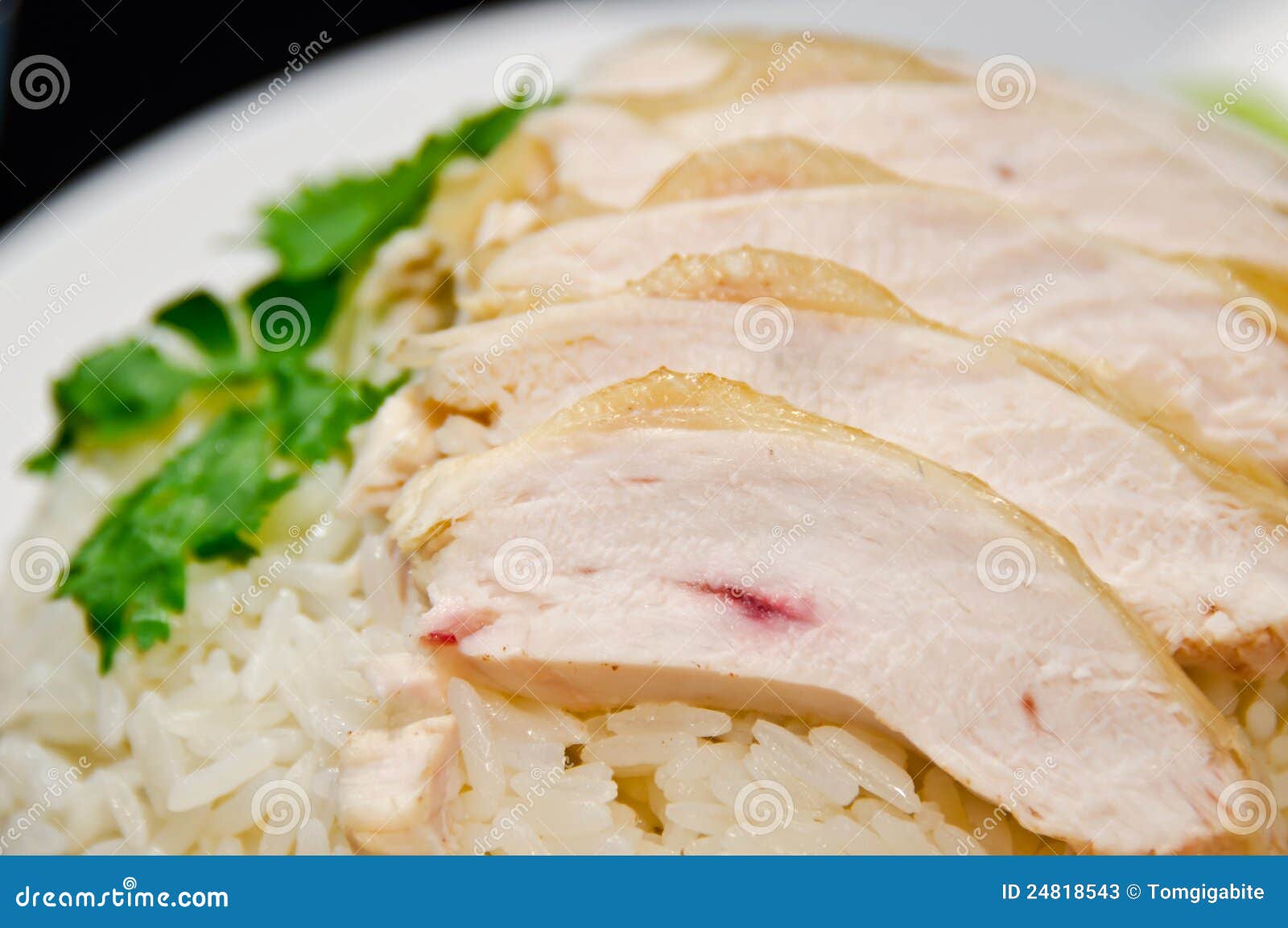 Steam Chicken over rice stock image. Image of china, bangkok - 24818543