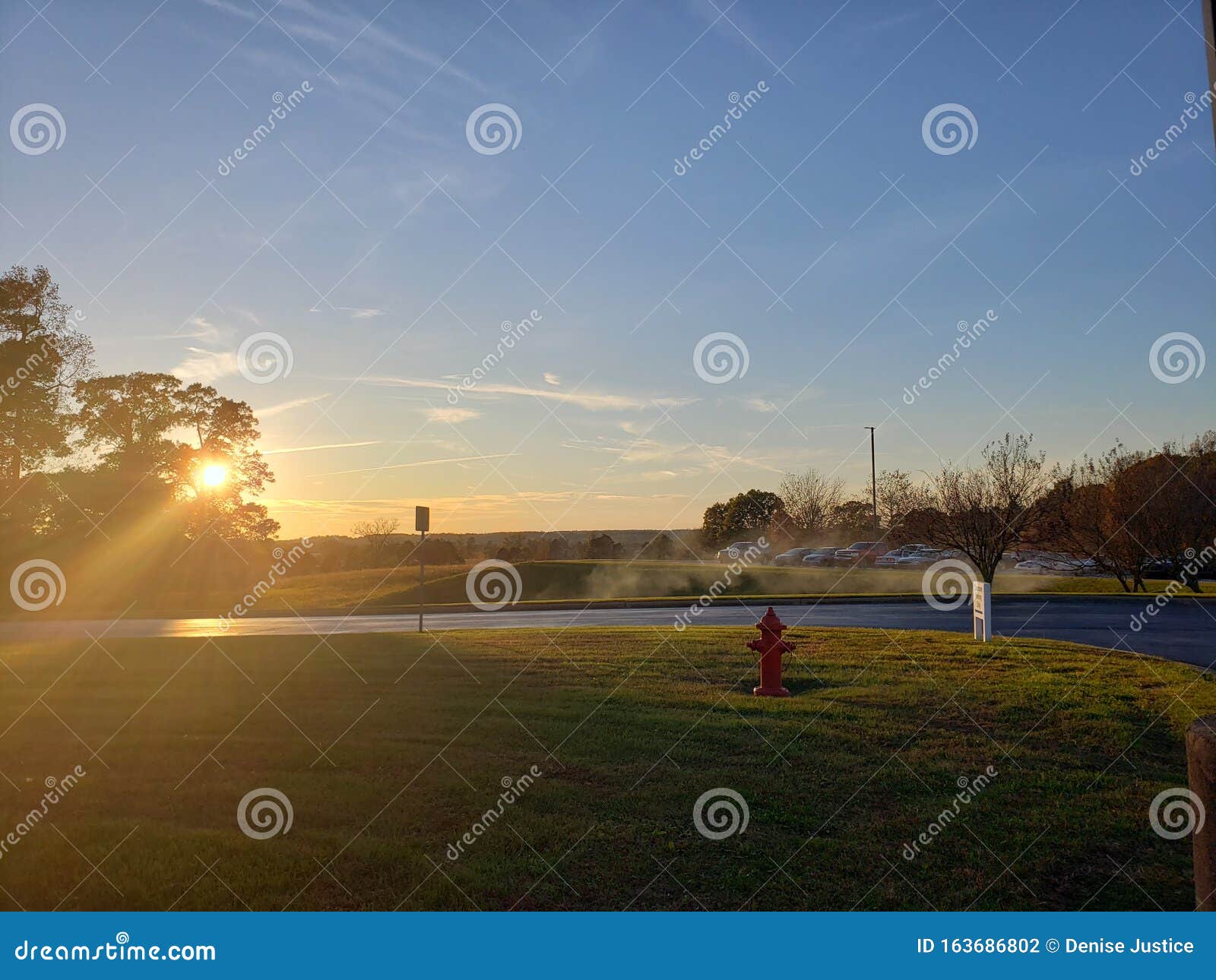 Steam Coming Up from Heat in Ground at the Plant Stock Photo - Image of ...