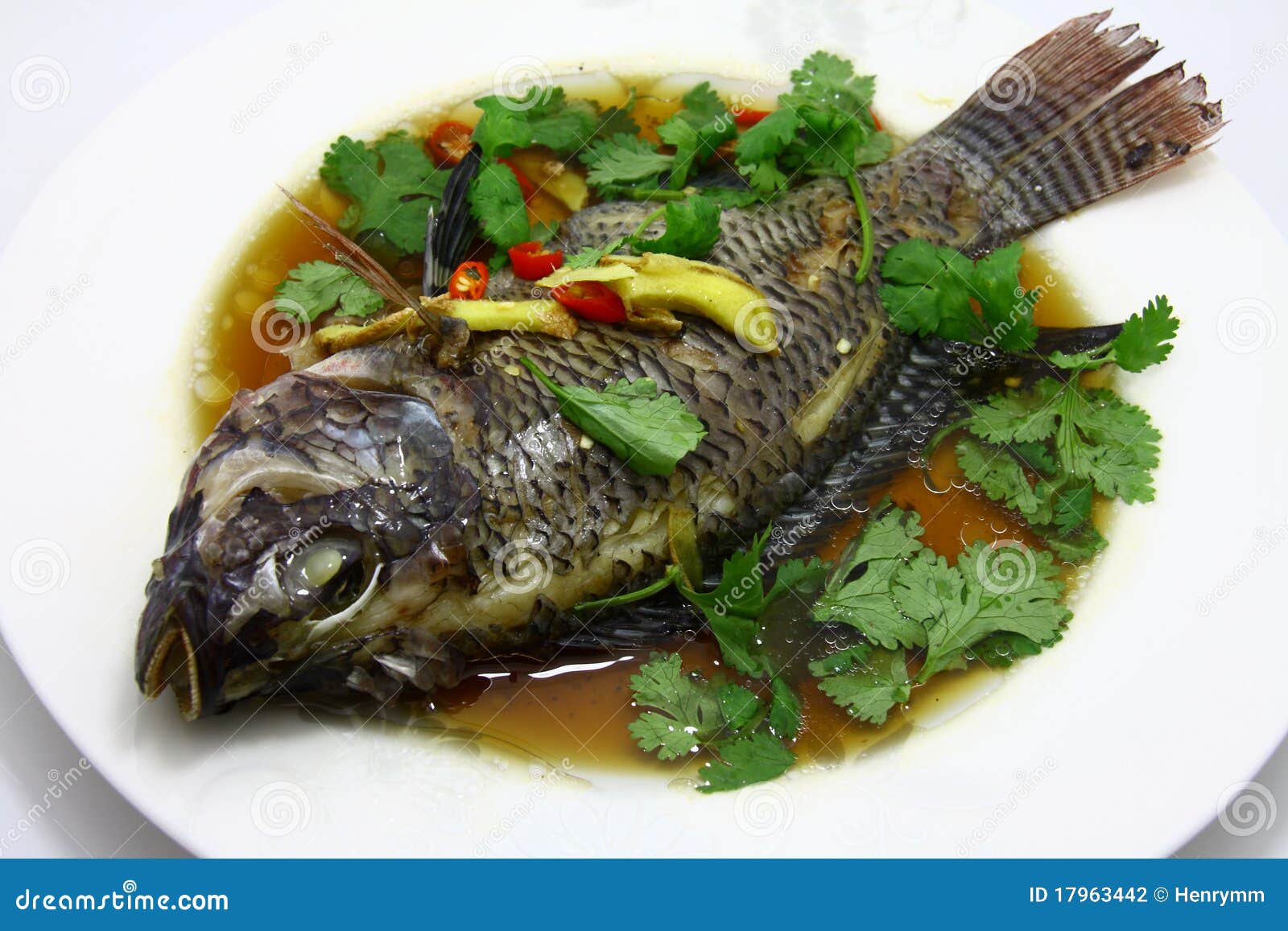 Steam fish stock photo. Image of delicious, nature, steam - 17963442