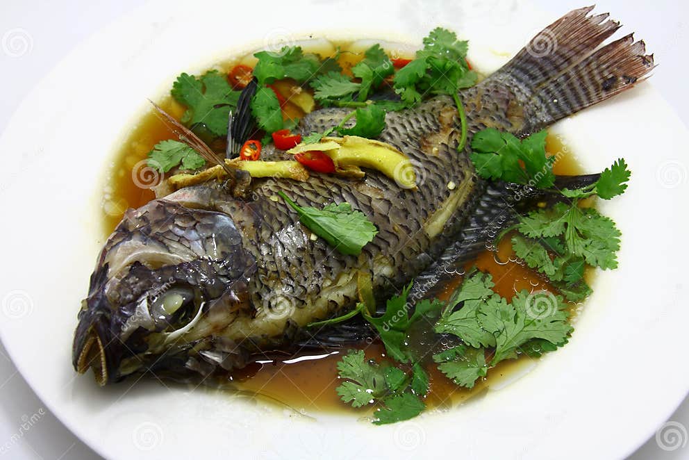 Steam fish stock photo. Image of delicious, nature, steam - 17963442