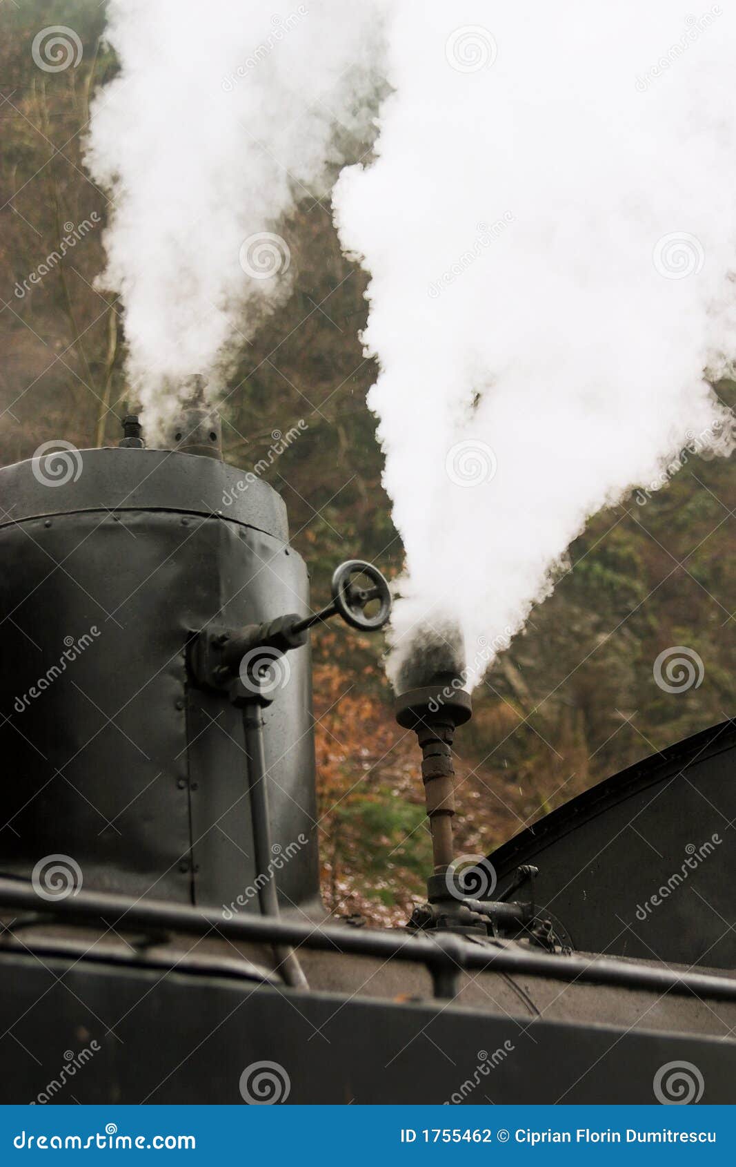 Steam Horn Picture. Image: 1755462