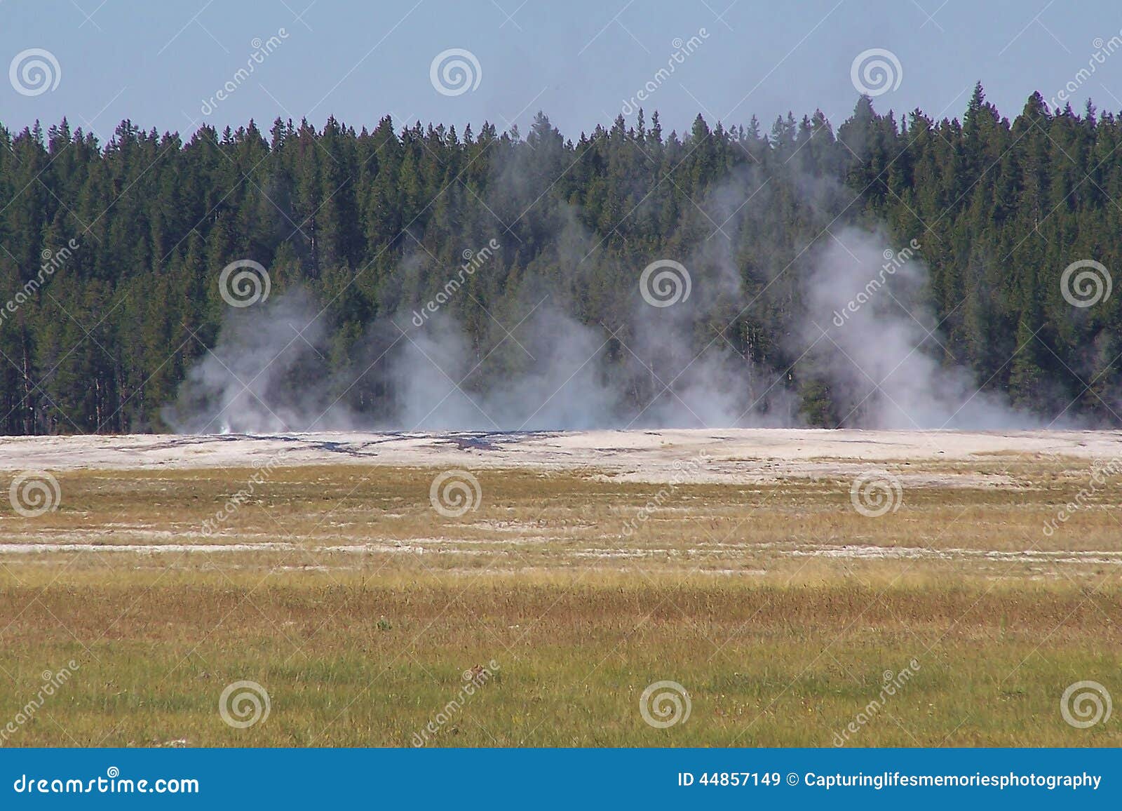 Steam and mist stock image. Image of rock, trees, mountains - 44857149