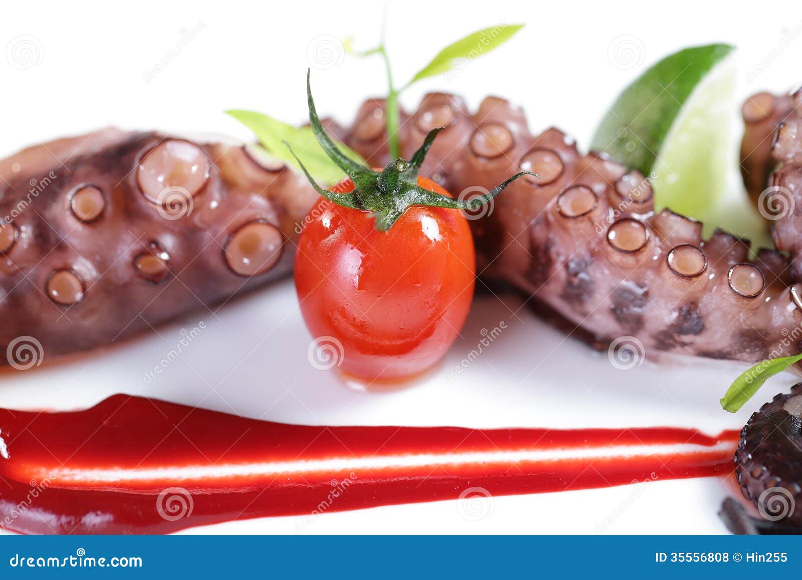 Steam Octopus stock photo. Image of cuisine, naturalist - 35556808