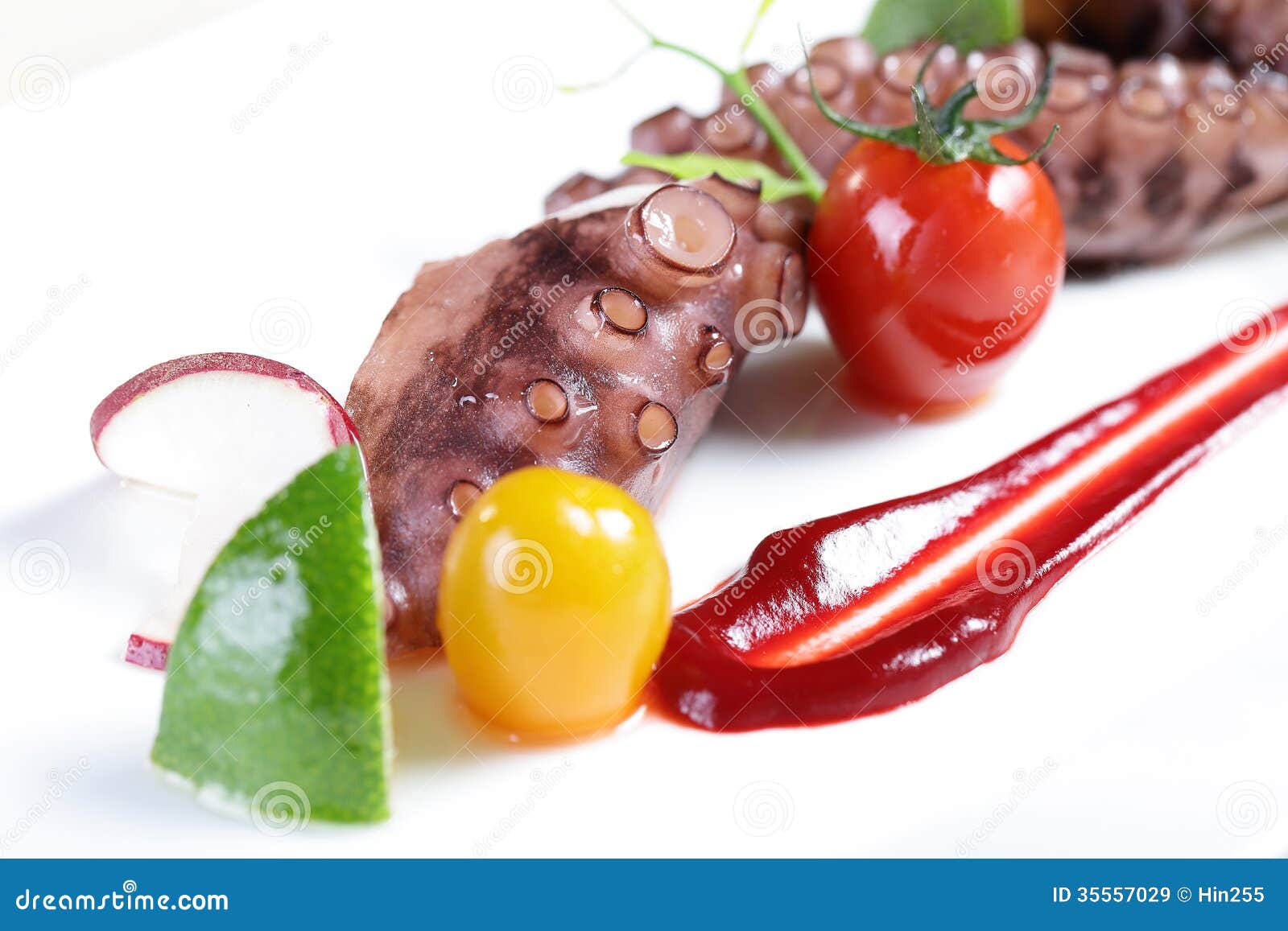 Steam Octopus stock image. Image of fish, seafood, naturalist - 35557029