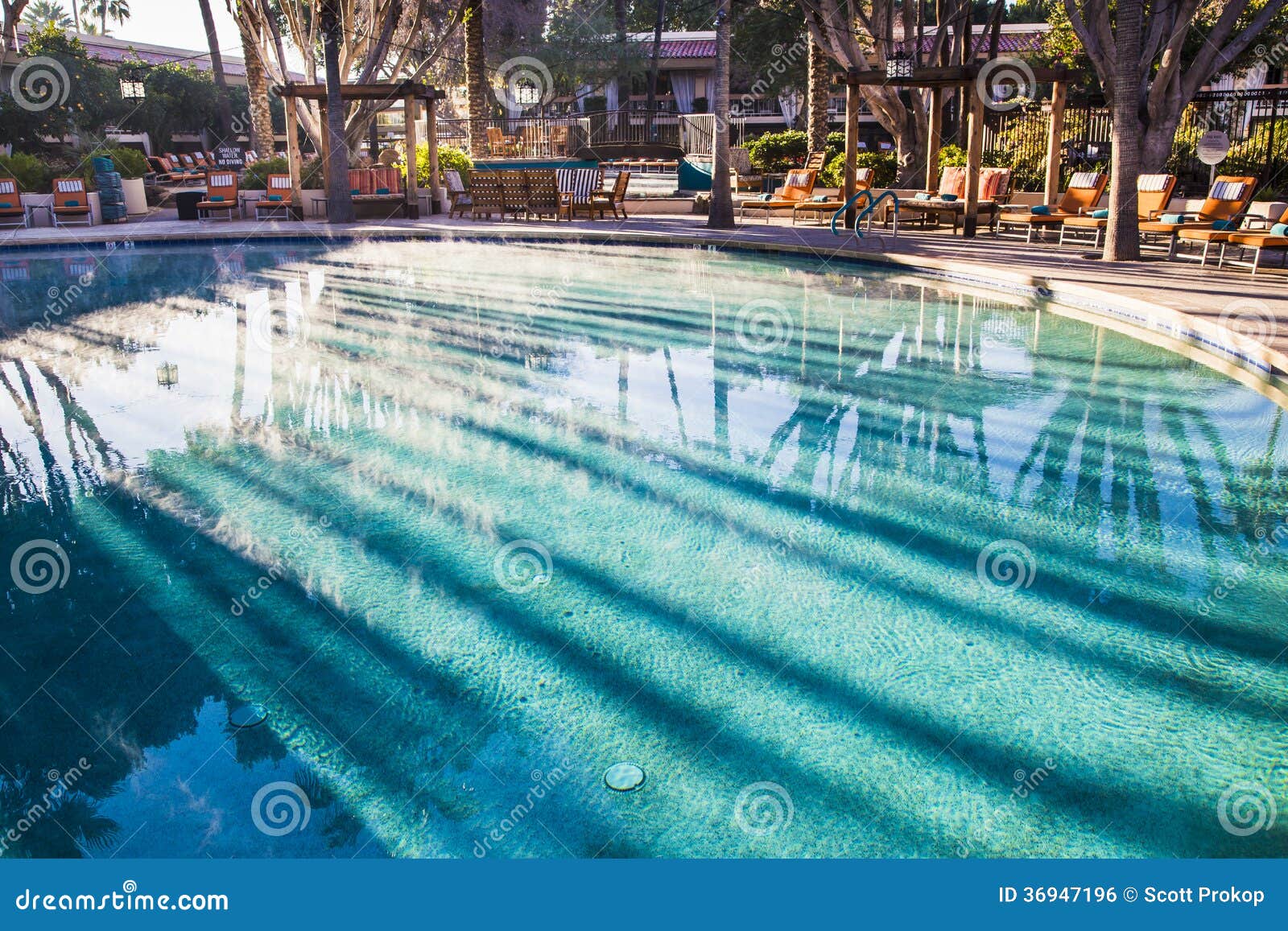 Steam on the Pool stock photo. Image of blue, nature - 36947196