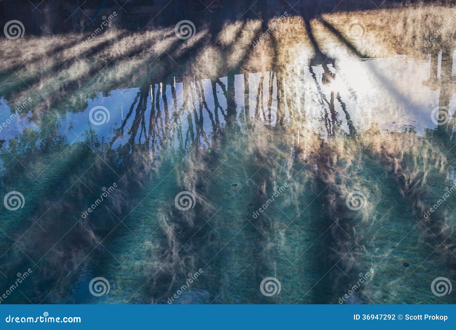 Steam on the Pool stock photo. Image of warm, swimming - 36947292