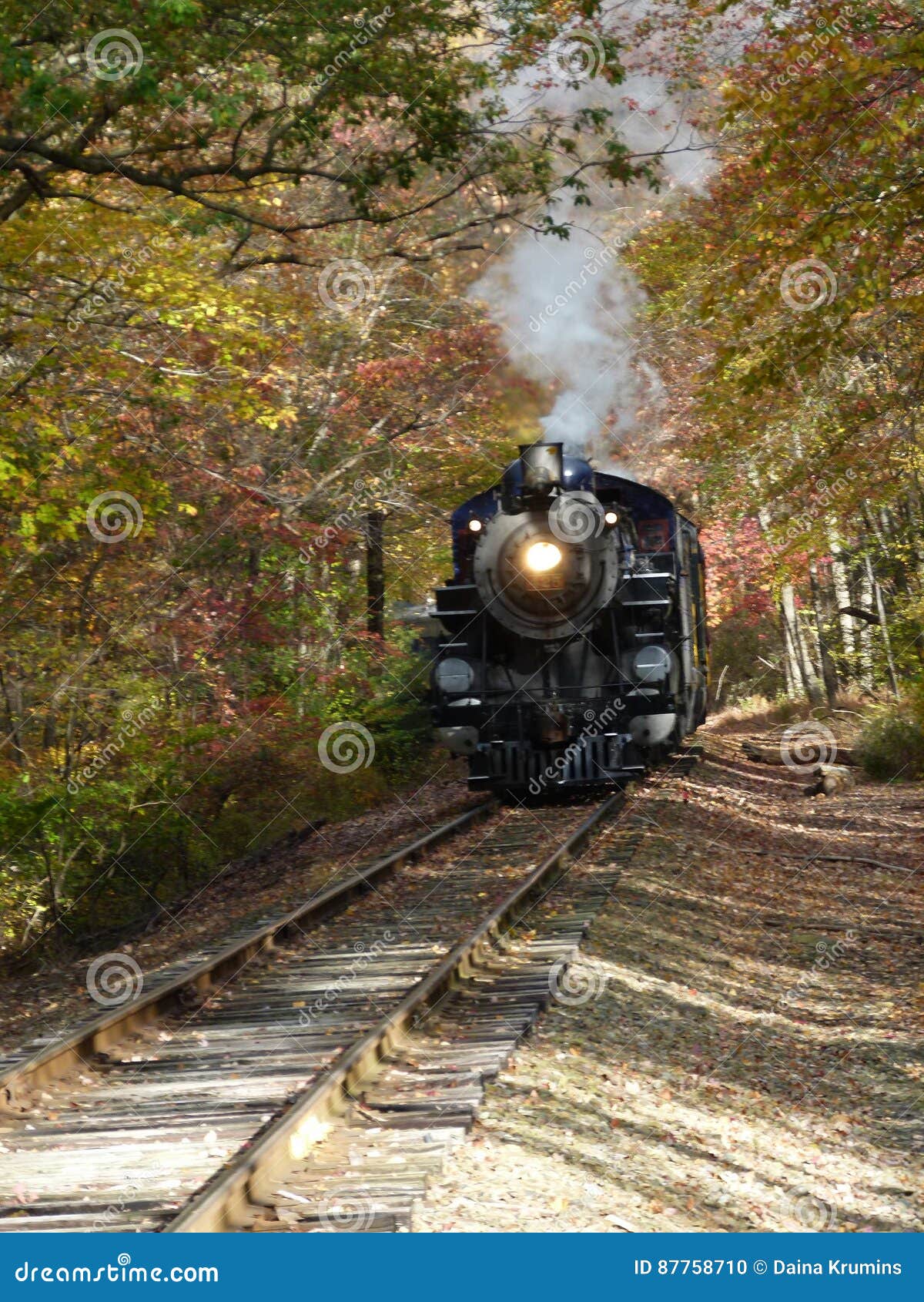 Steam Powered Train editorial image. Image of transport - 87758710