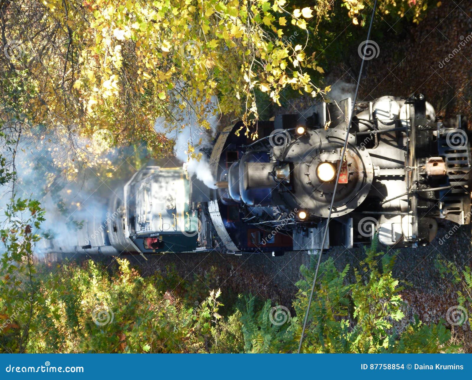 Steam Powered Train editorial stock image. Image of locomotive - 87758854