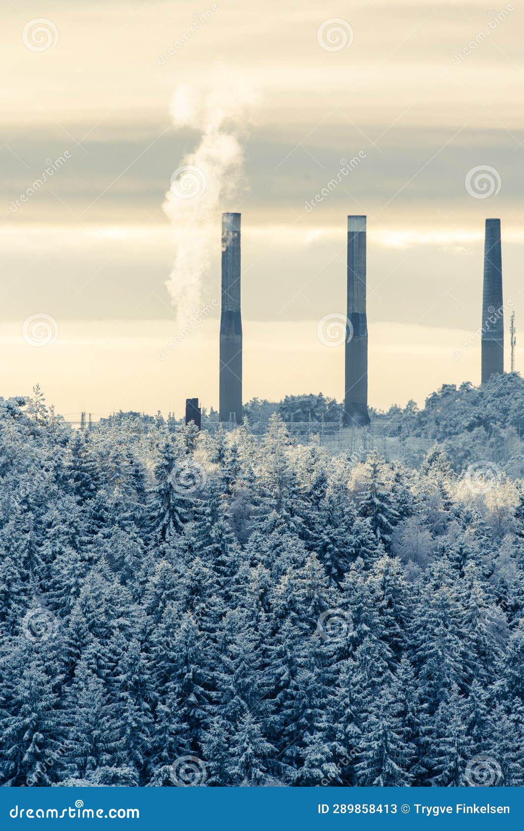 Steam Rising from Smoke Stacks Behind Icy Forest in Winter.. Stock ...