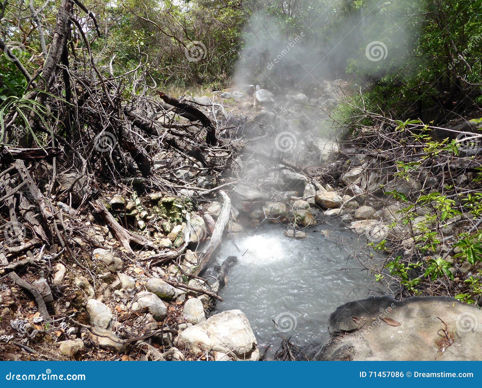 Steam Rising from a Volcanic Pool Stock Photo - Image of volcanic ...