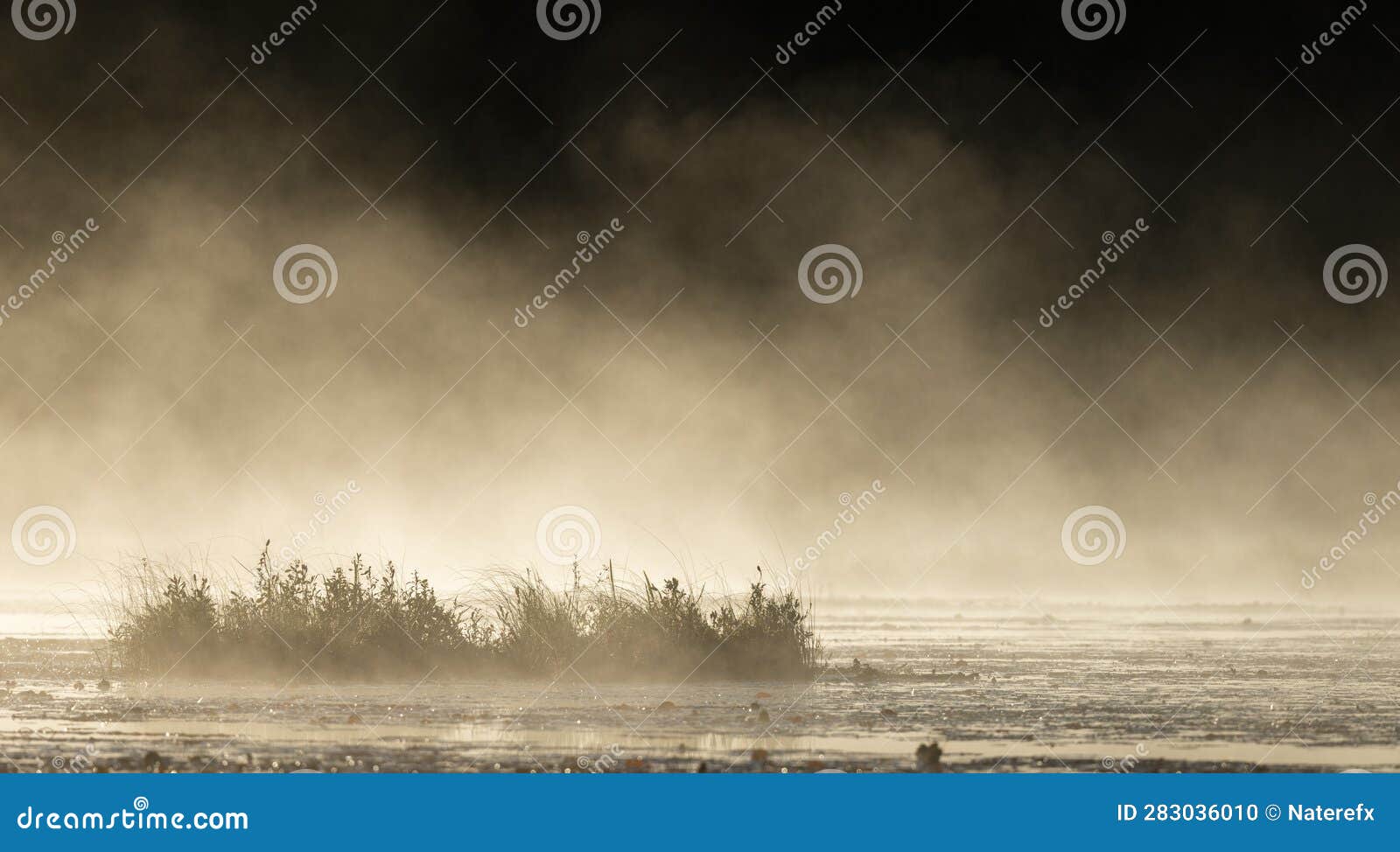 Steam River in the morning stock photo. Image of covered - 283036010