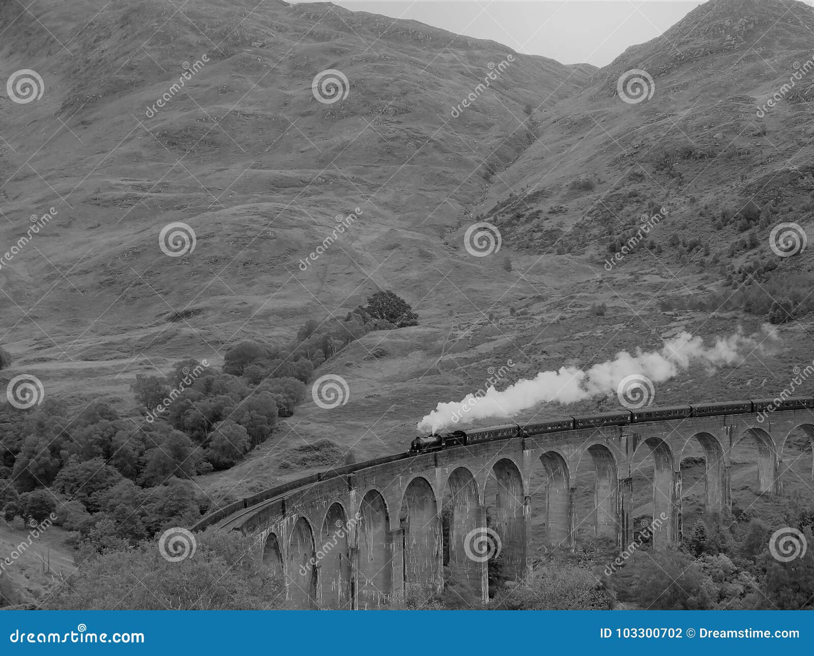 A Steam Train on an Arch Bridge, Black and White Stock Photo - Image of ...